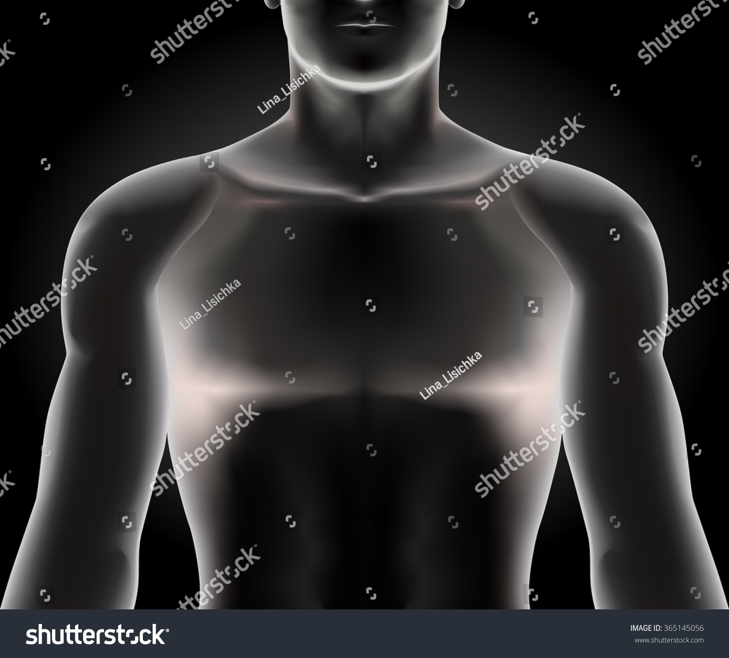 Human Torso On Black Background Vector Stock Vector (Royalty Free ...