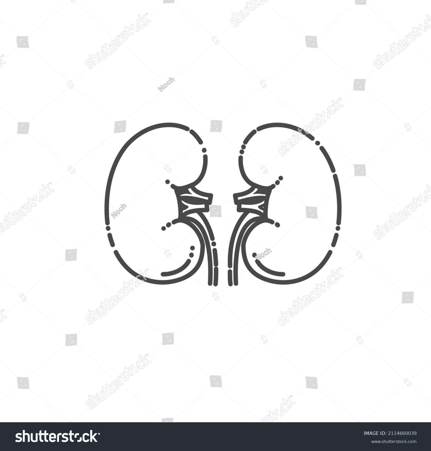 Human Urinary System Kidneys Vector Symbol Stock Vector (Royalty Free ...