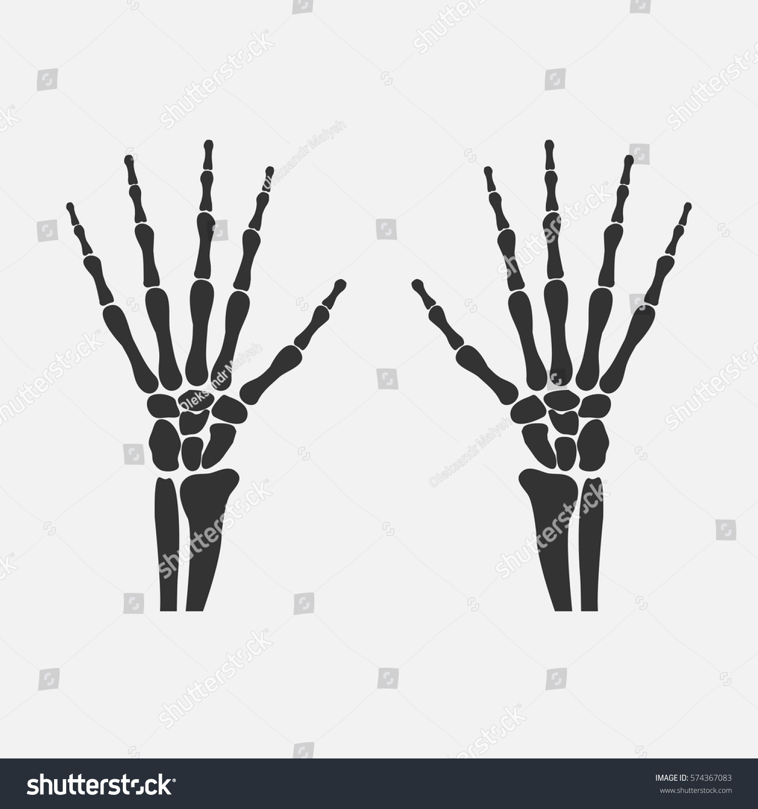 Human Wrist Hands Bones Vector Stock Vector (Royalty Free) 574367083