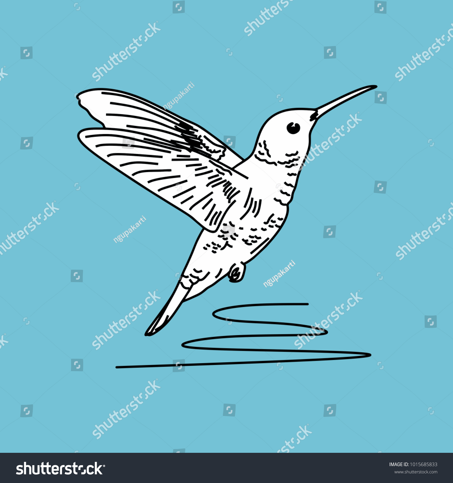 Humming Bird Drawing Hand Drawn Line เวกเตอร์สต็อก ปลอดค่าลิขสิทธิ์
