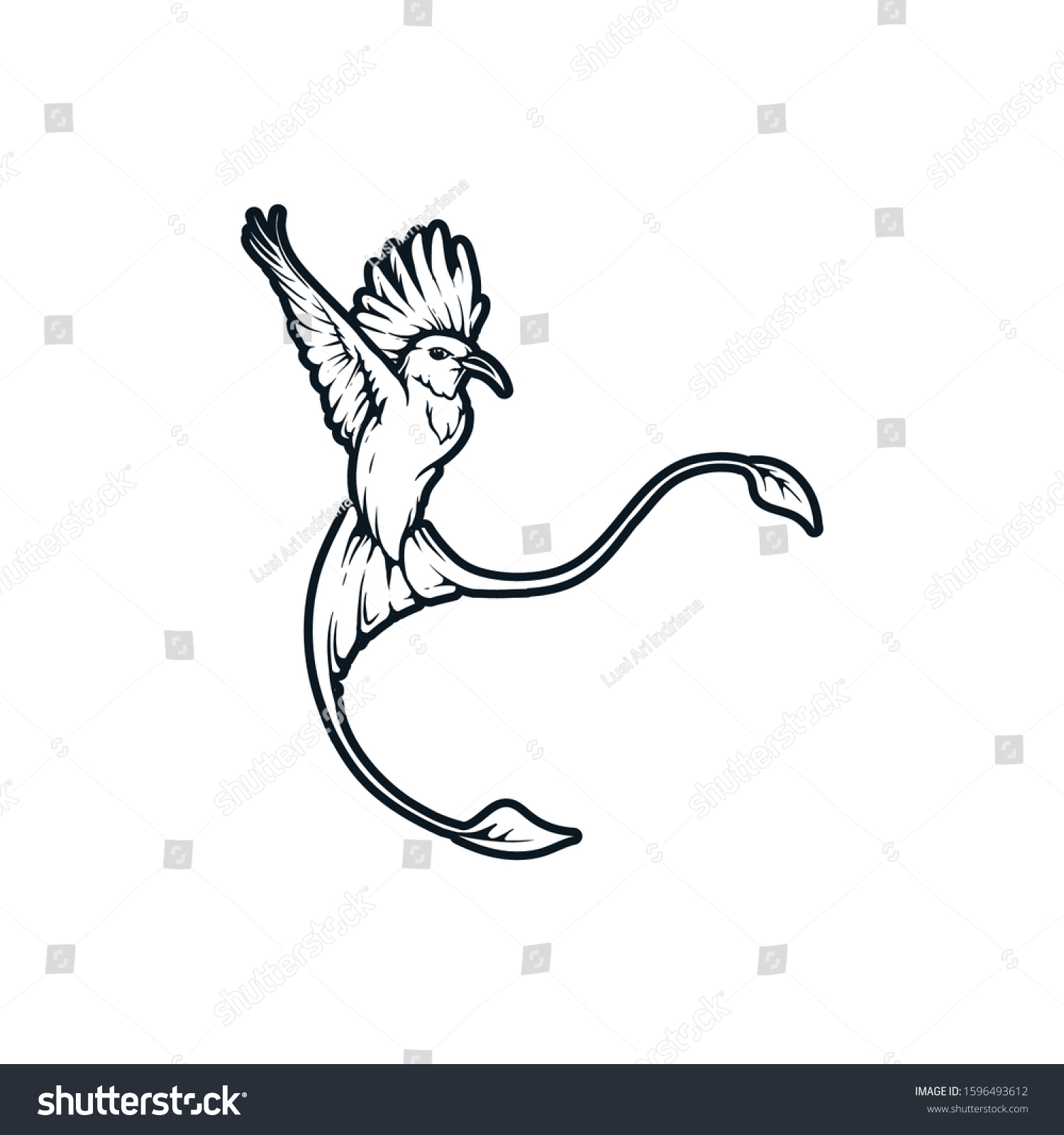 Hummingbird Flight Drawing Vector Stock Vector (Royalty Free ...