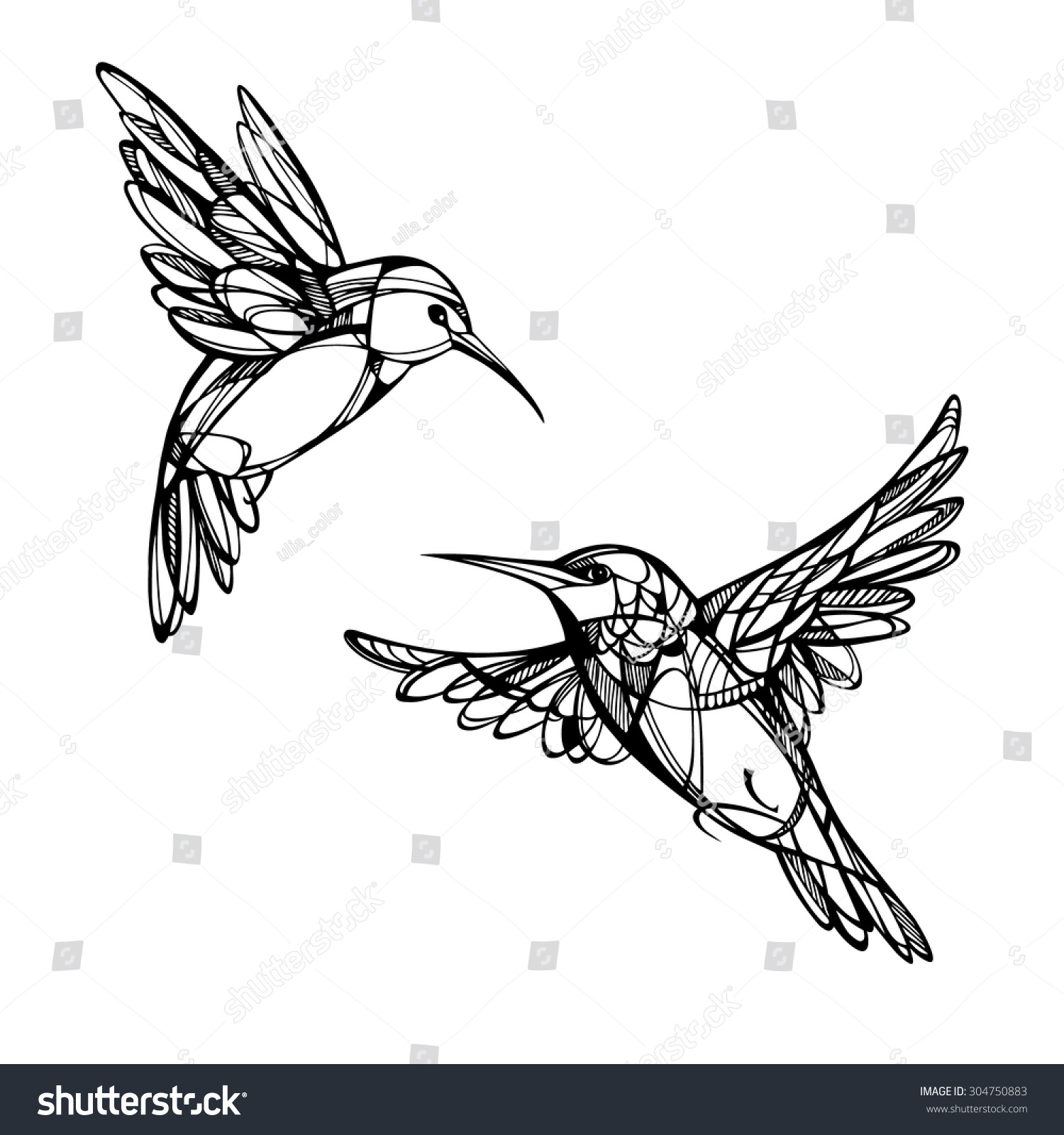 Colibríes. Vector aislado: vector de stock (libre de regalías ...