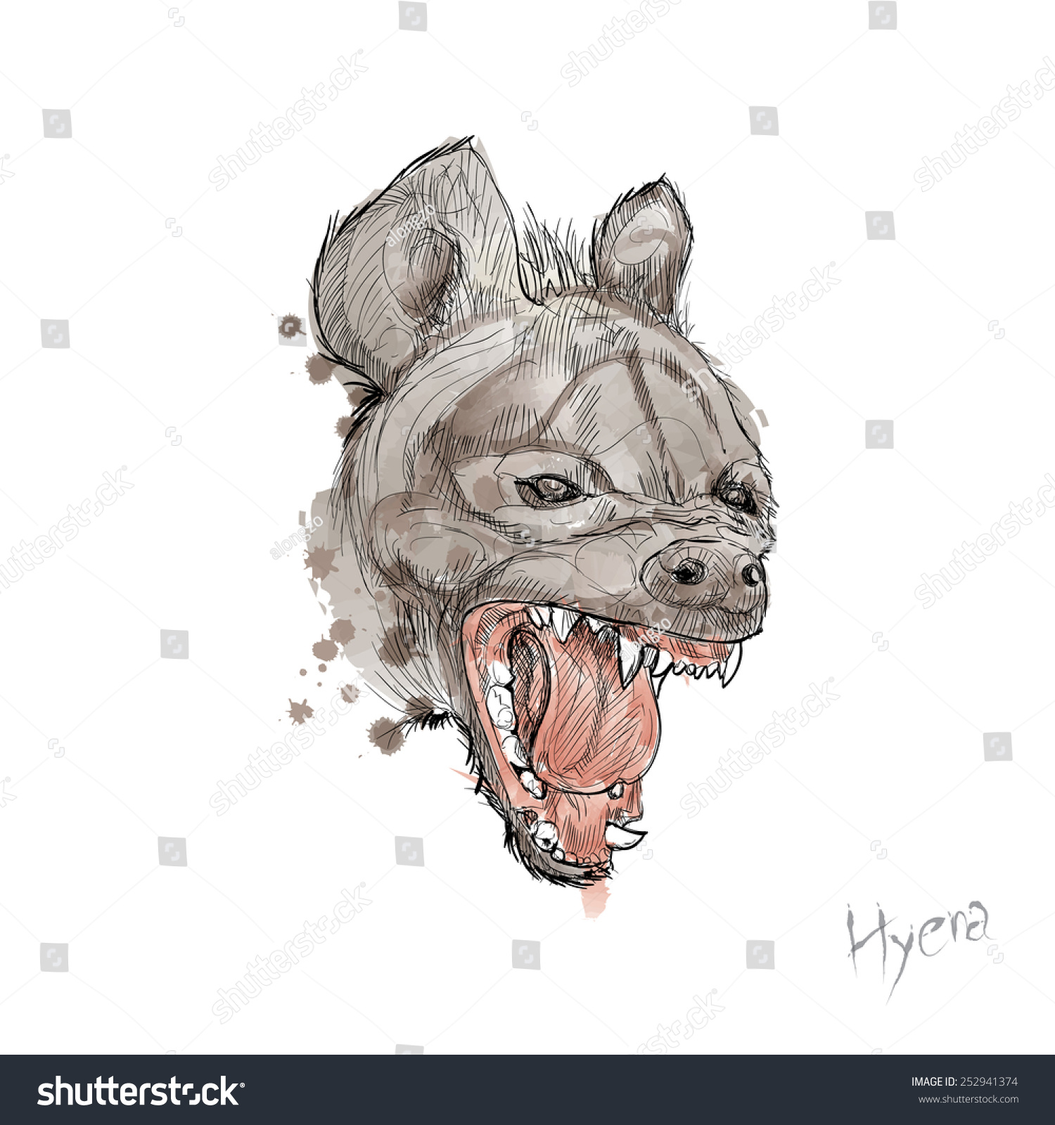 Hyena Head. Drawing Vector - 252941374 : Shutterstock
