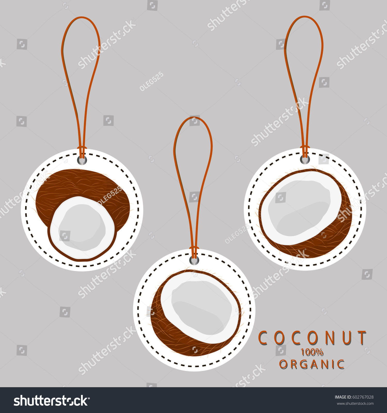 Illustration Big Set Different Types Coconut Stock Vector (Royalty Free ...