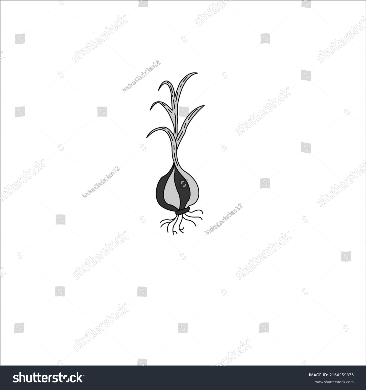 Illustration Graphic Vector Onion Animation Stock Vector (Royalty Free ...