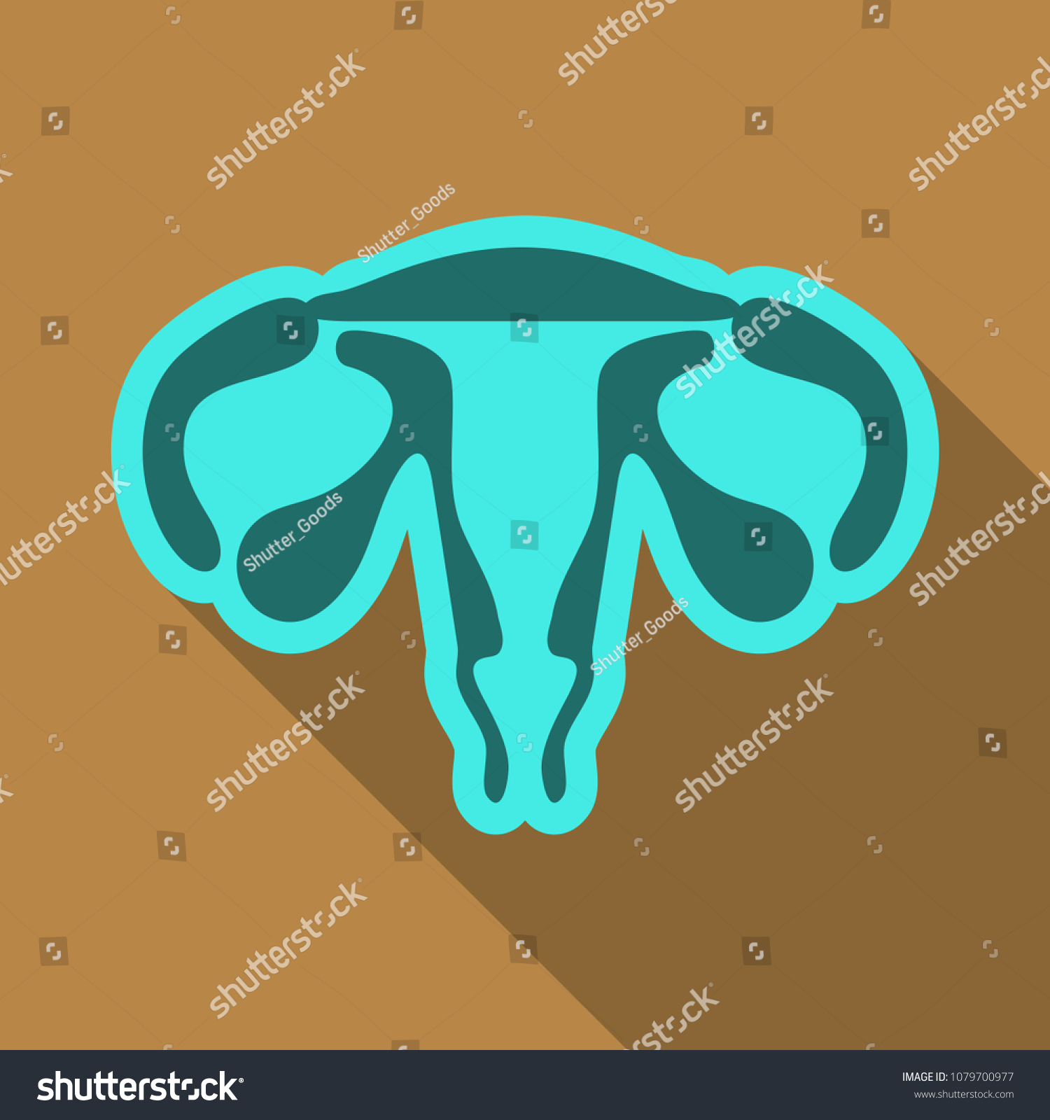 Illustration Female Reproductive System Human Anatomy เวกเตอร์สต็อก