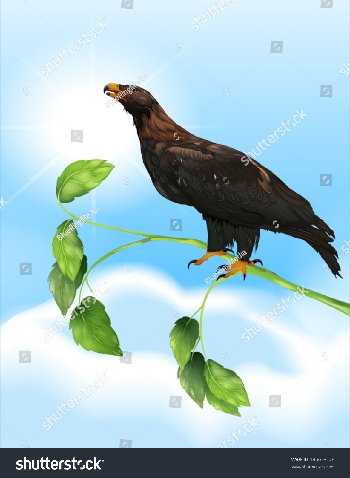 Illustration Showing Eagle Stock Vector (Royalty Free) 145028479 ...