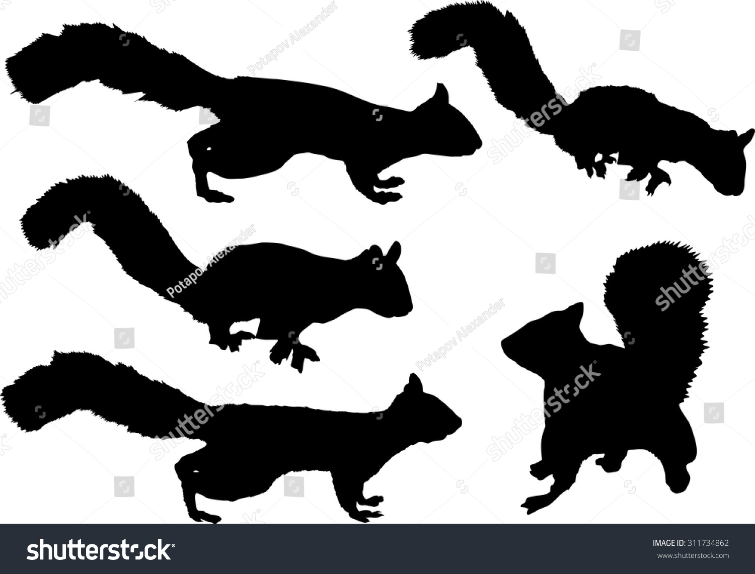 Illustration Five Squirrels Isolated On Transparent Stock Vector ...