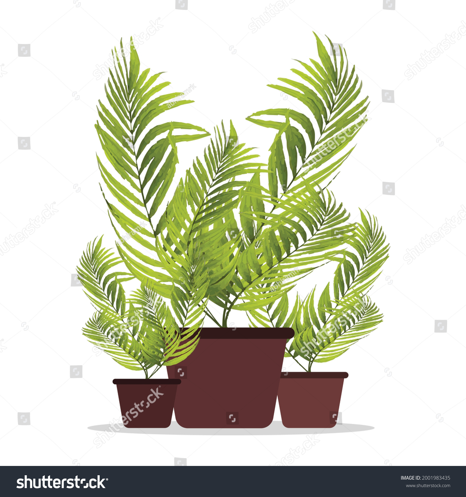 Indoor Plant Concept Vector Design Stock Vector (Royalty Free ...