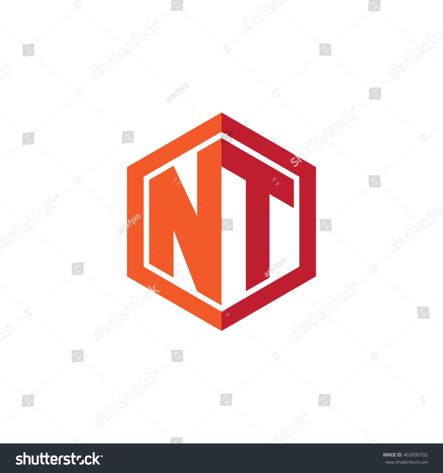 Initial Letters Nt Hexagon Shape Logo Stock Vector (Royalty Free ...