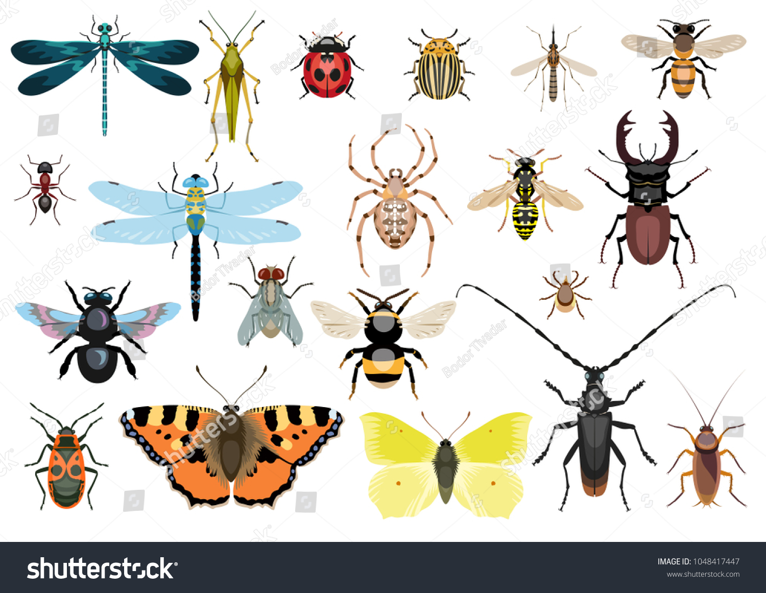 Insect Collection Illustration Drawing Vector: vector de stock (libre ...