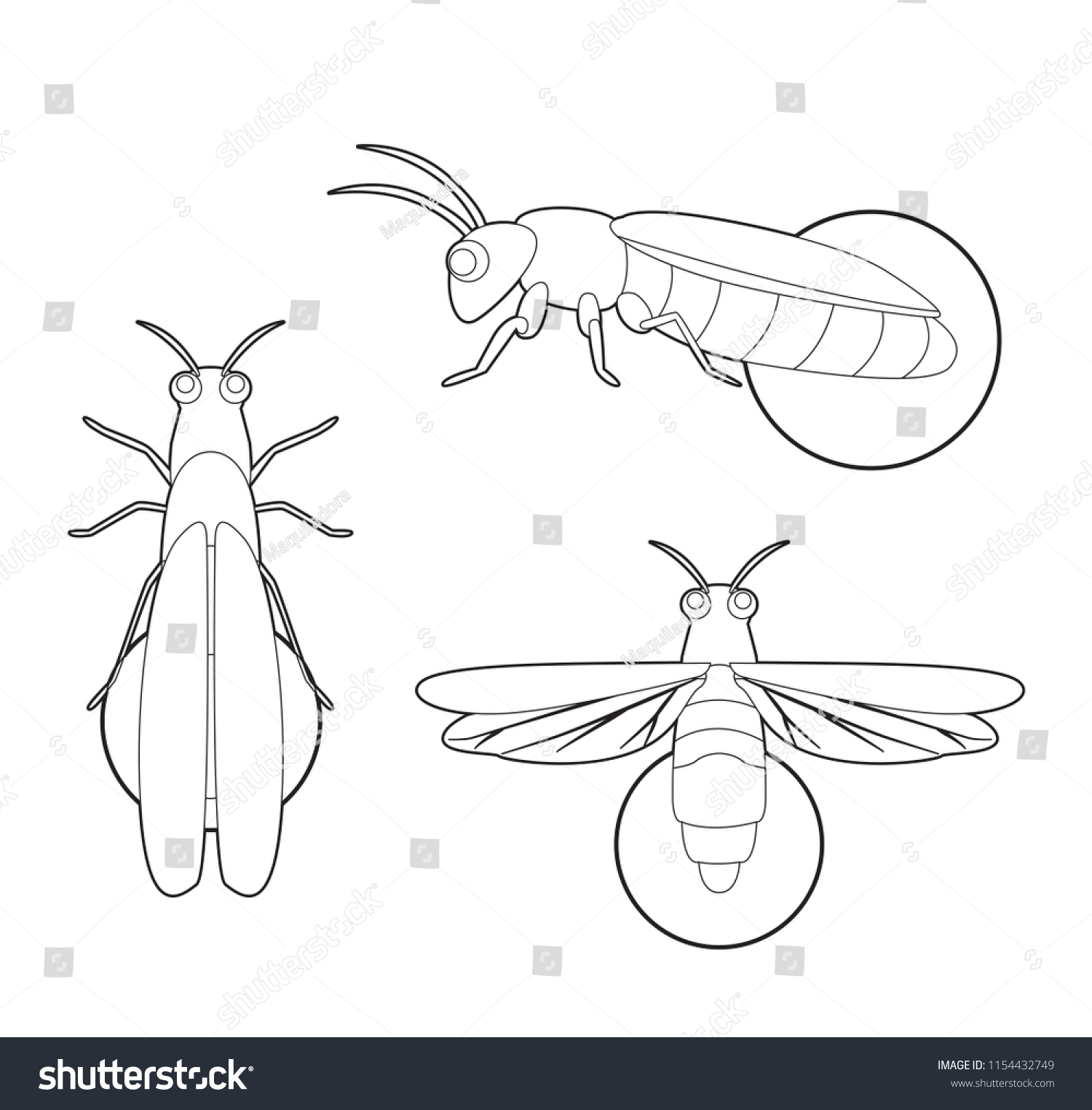 Insect Set Firefly Cartoon Vector Coloring Stock Vector (Royalty Free ...