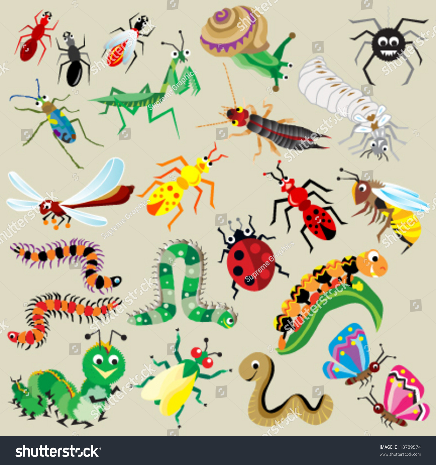 Insect Species Stock Vector (Royalty Free) 18789574
