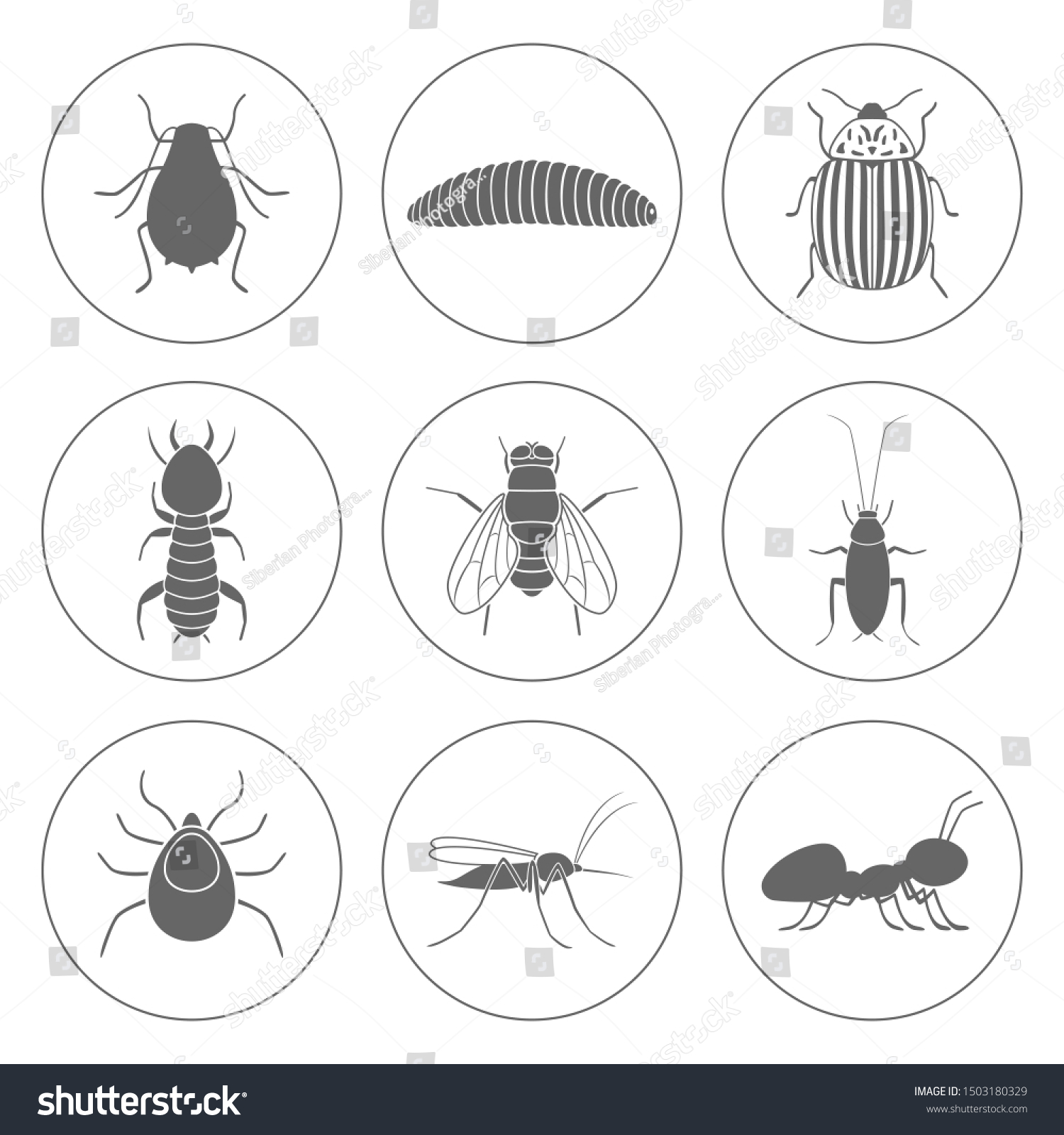Insect Symbols Icon Set Vector Stock Vector (Royalty Free) 1503180329