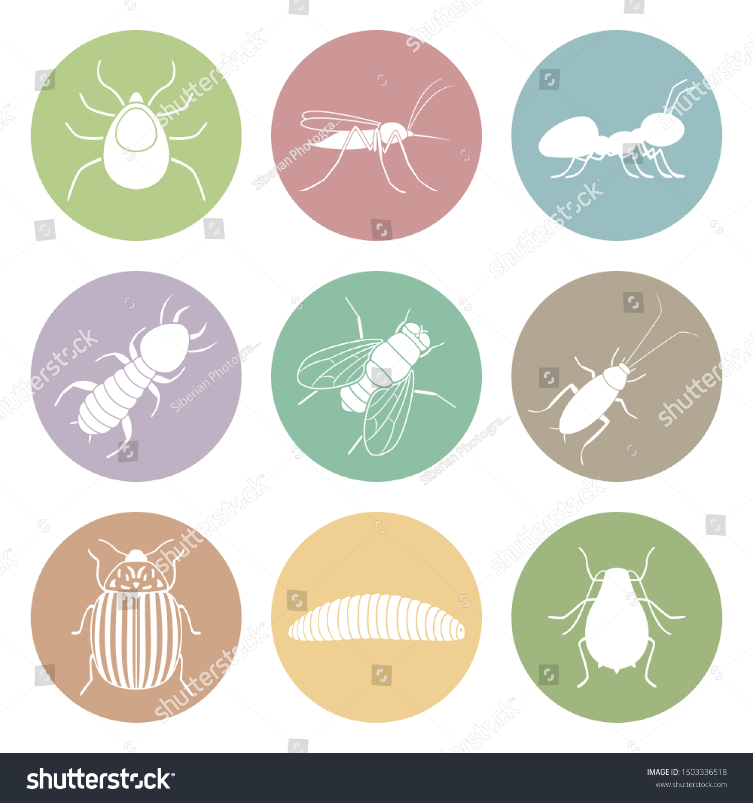 Insect Symbols Icon Set Vector Stock Vector (Royalty Free) 1503336518 ...
