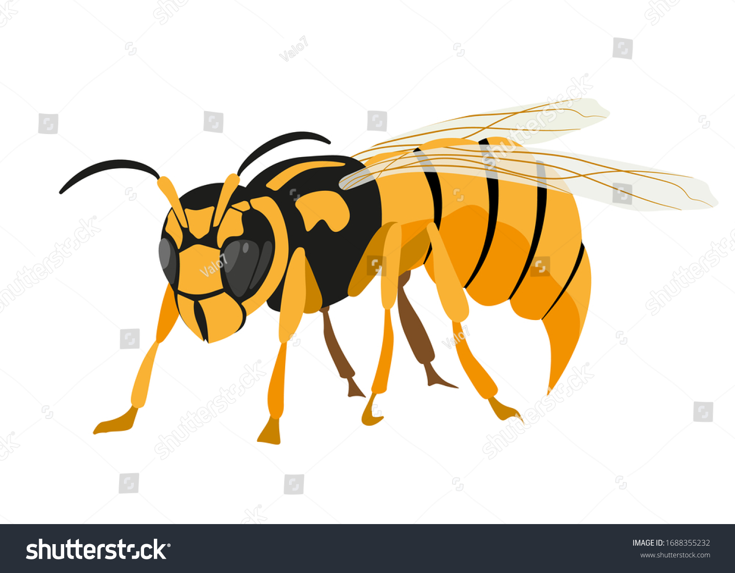 Insect Wasp Closeup Side View Vector Stock Vector (Royalty Free) 1688355232