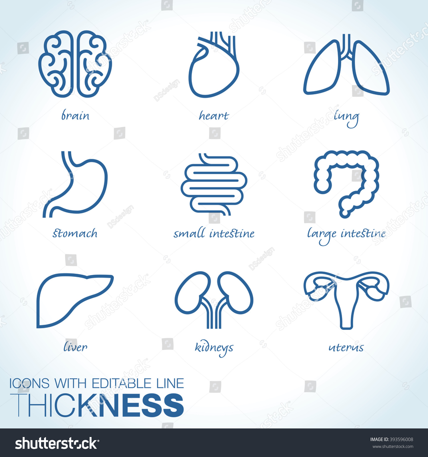 Internal Human Organs Vector Icons - 393596008 : Shutterstock