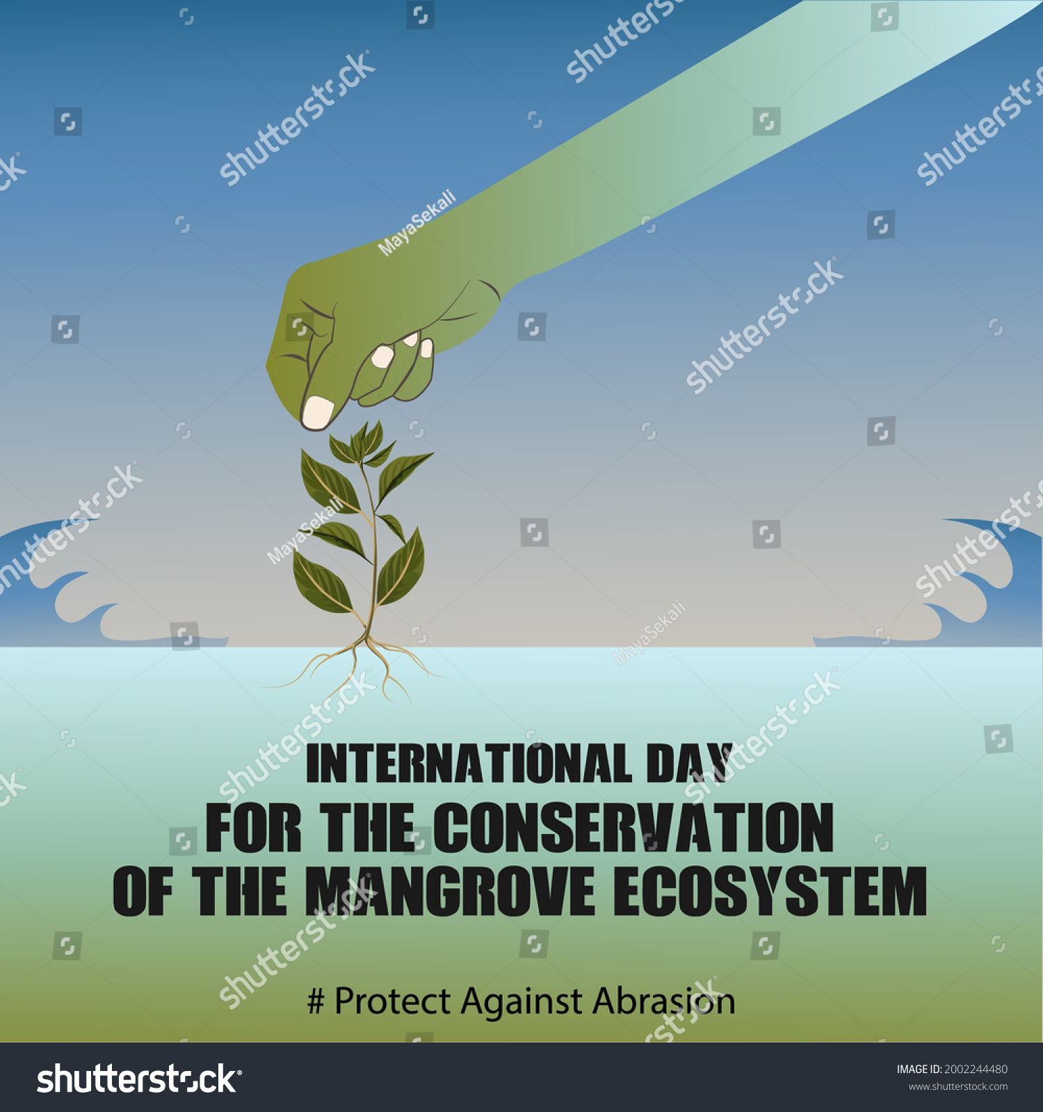 International Day Conservation Mangrove Ecosystem Illustration Vetor