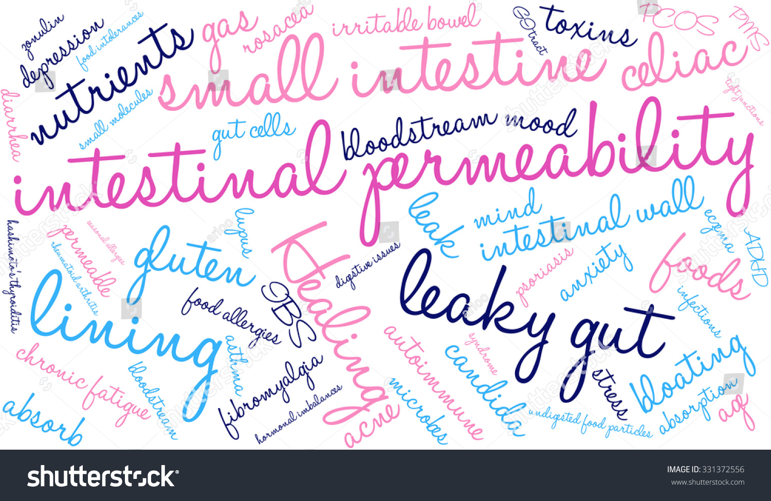 Intestinal Permeability Word Cloud On White Stock Vector (Royalty Free ...