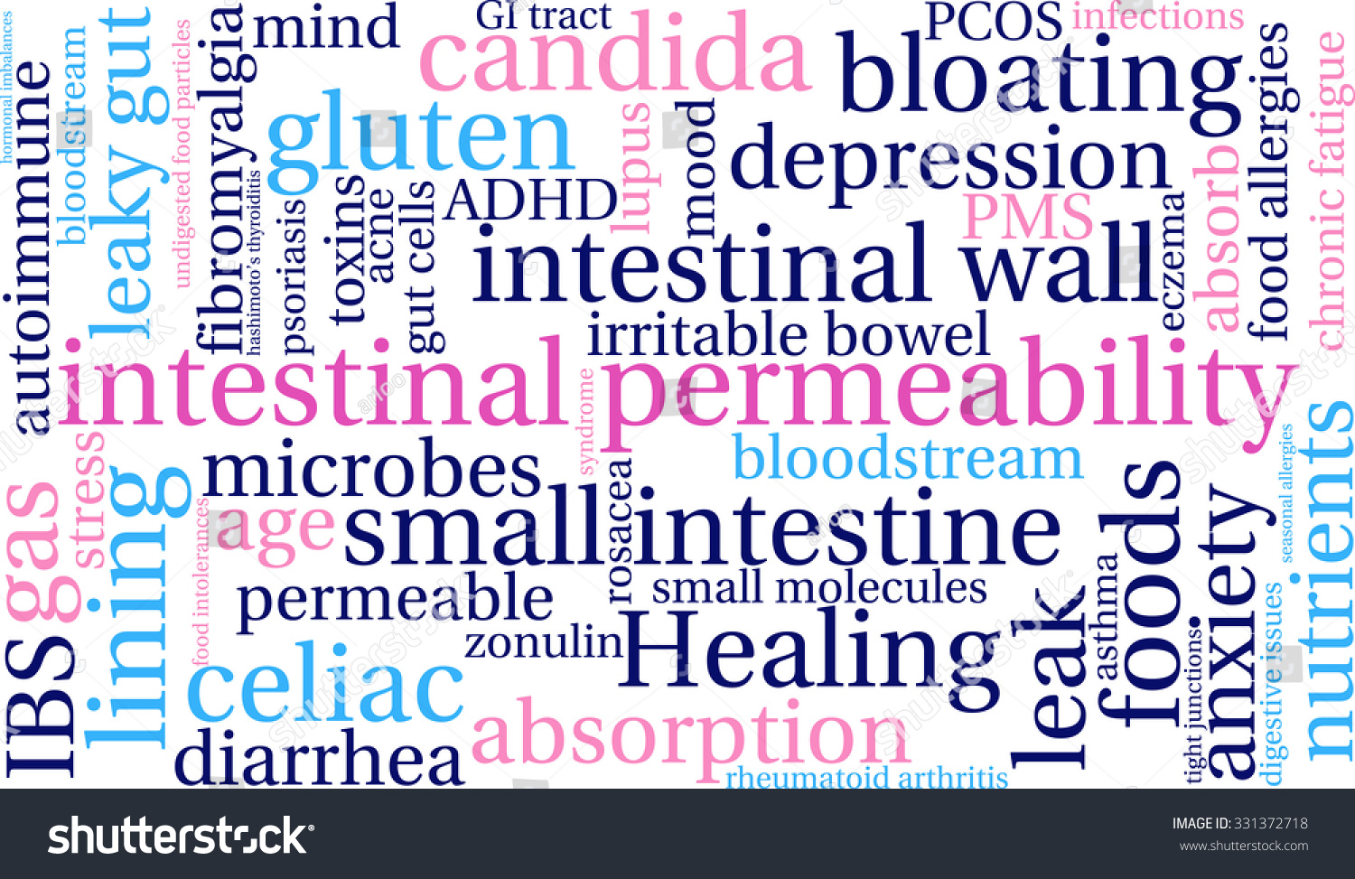 Intestinal Permeability Word Cloud On White Stock Vector (Royalty Free ...