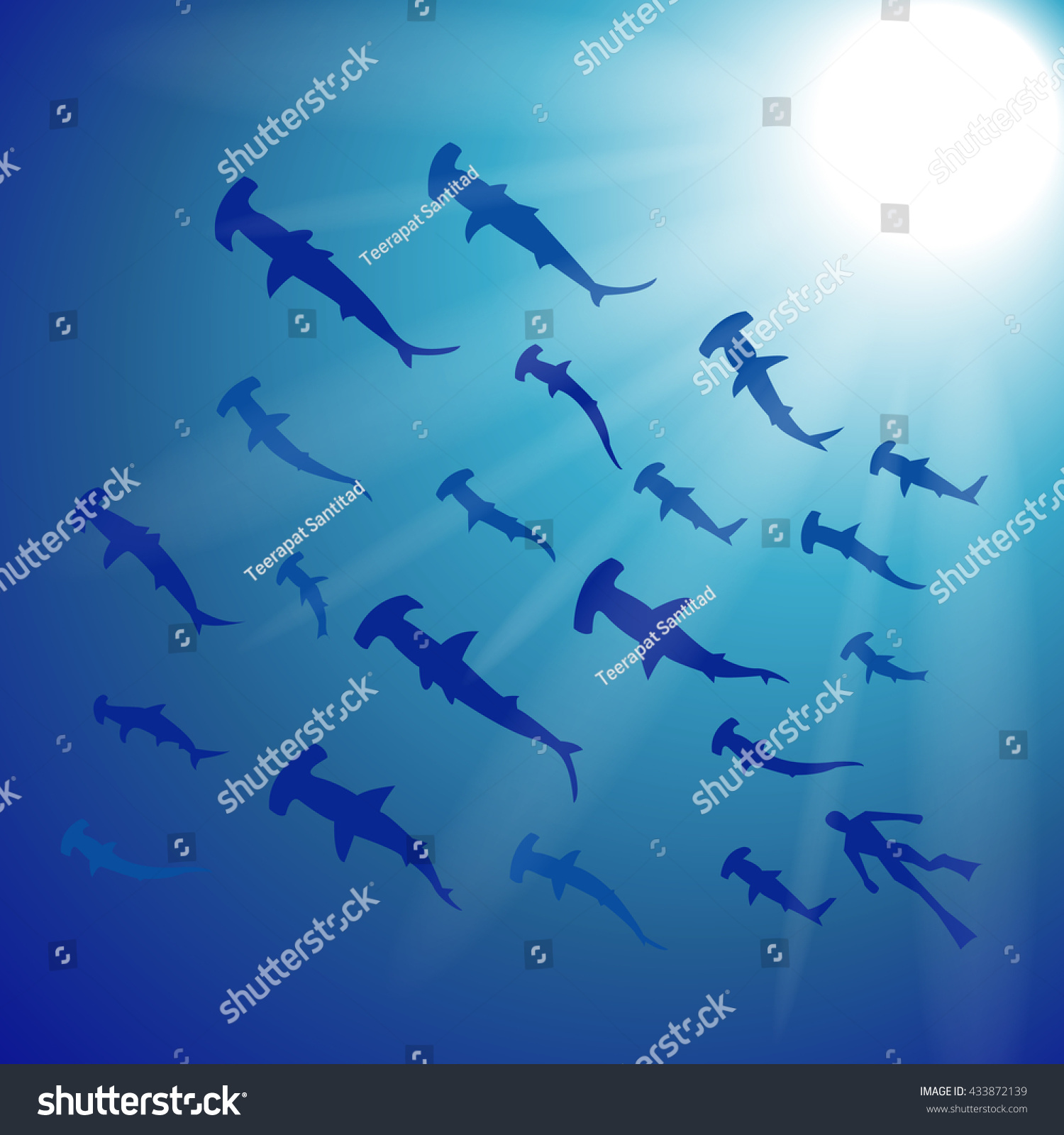 Into Pacific Vector Illustration Stock Vector (Royalty Free) 433872139 ...