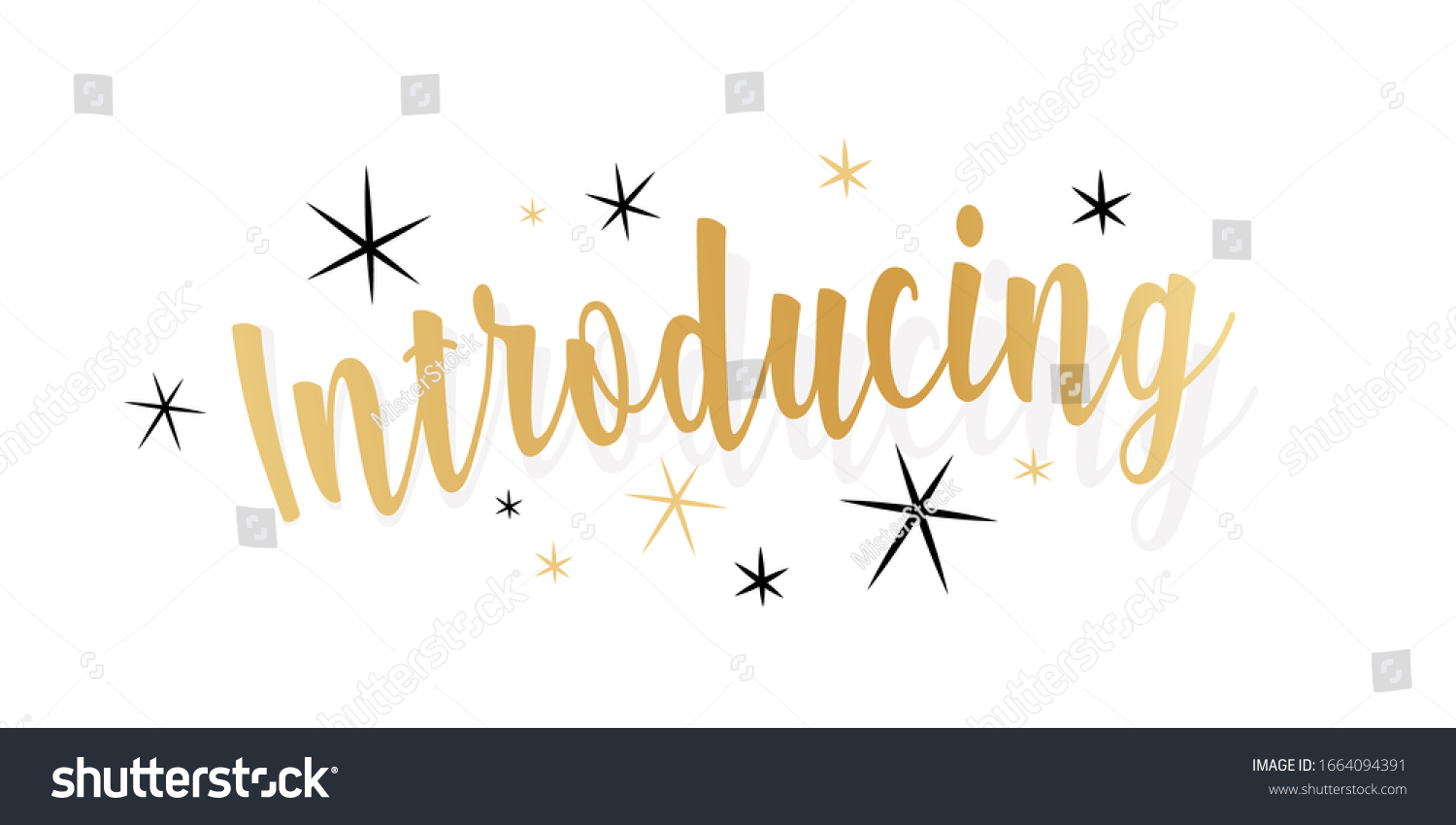 Introducing Calligraphy On White Banner Stock Vector (Royalty Free ...