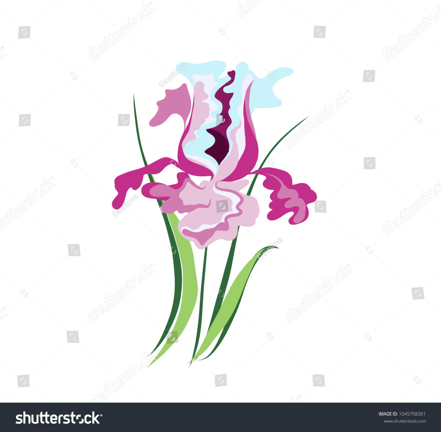 Iris Flower Vector Art Illustration Stock Vector (Royalty Free ...