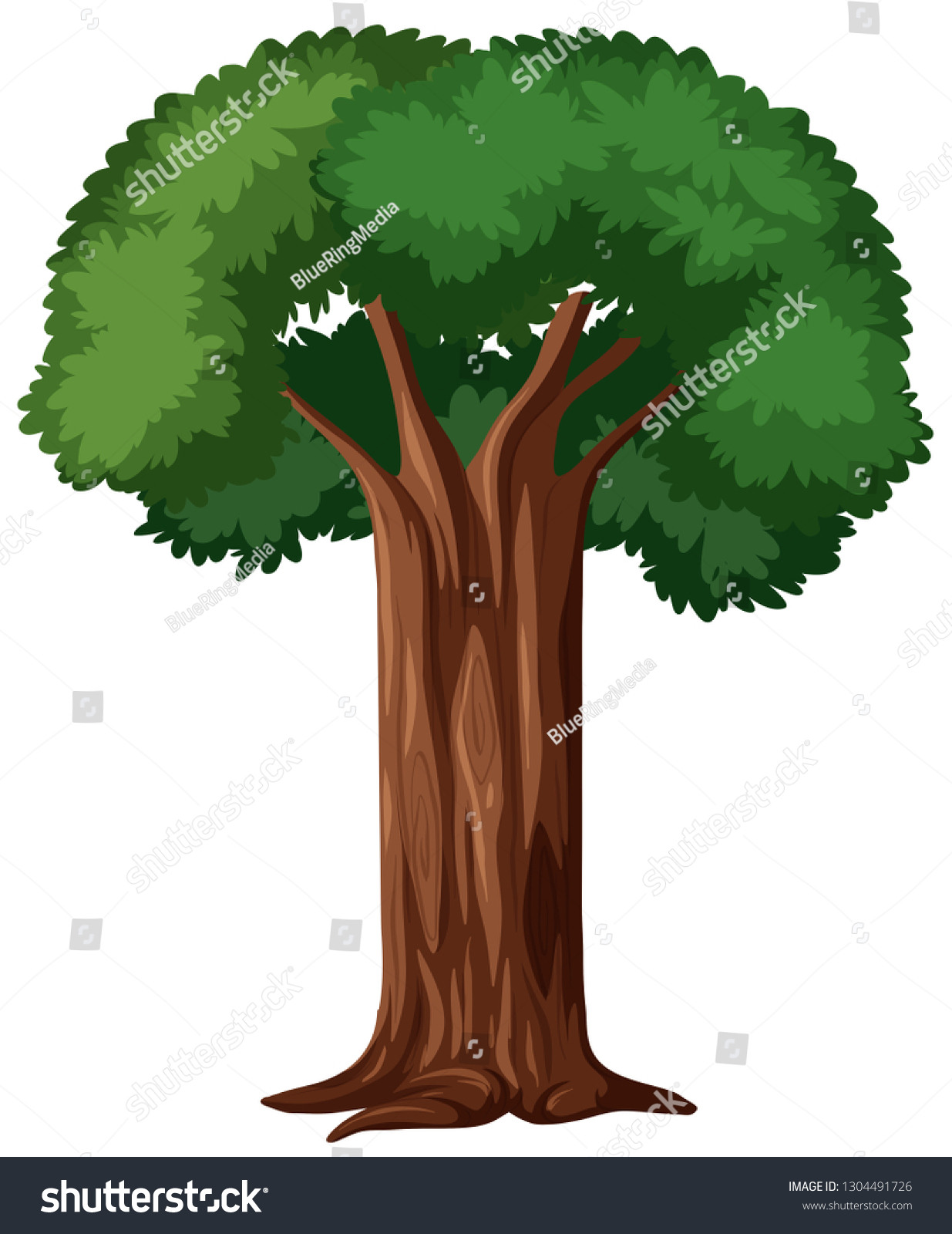 Isoated Tree On White Background Illustration Stock Vector Royalty
