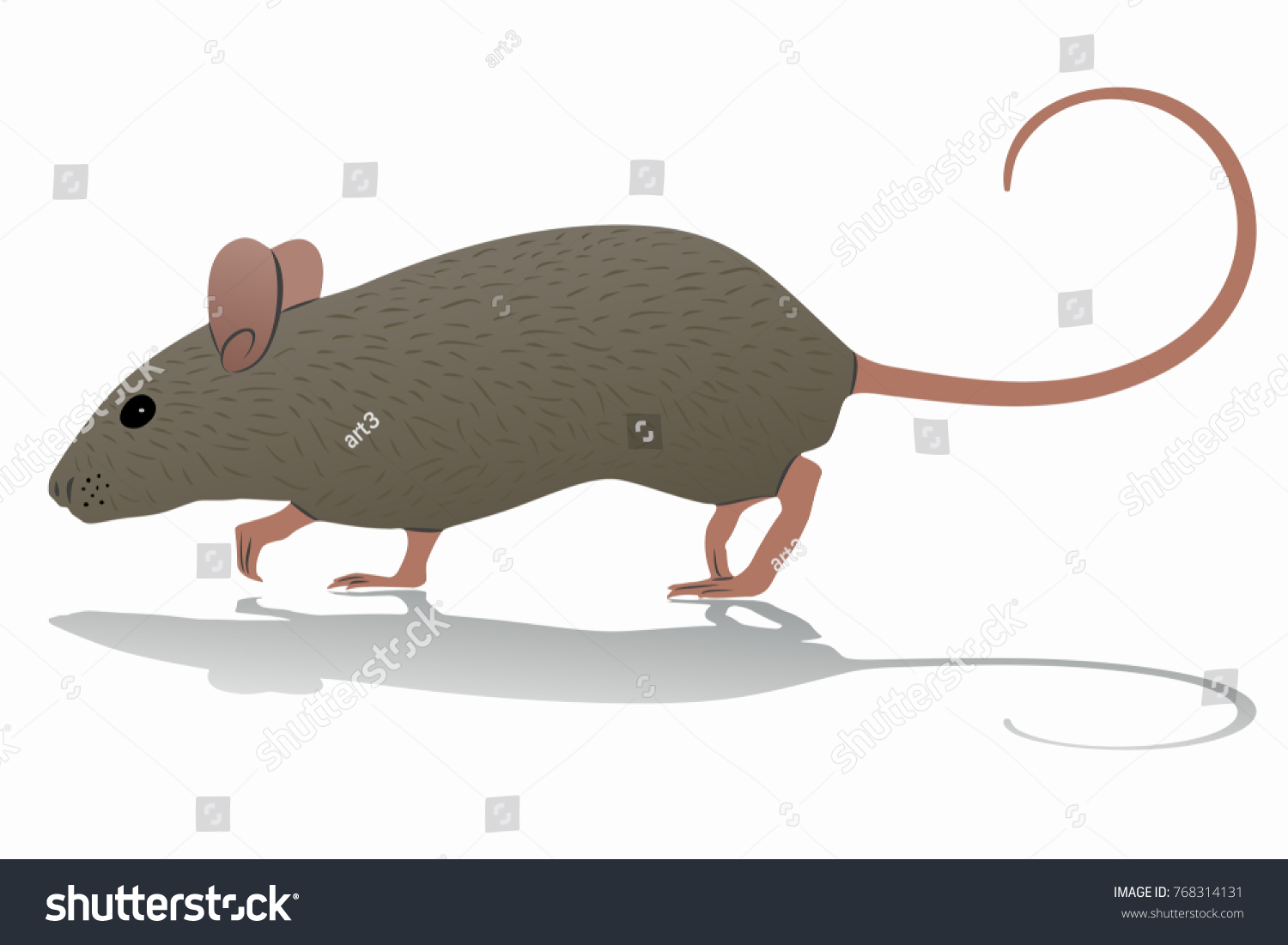 Isolated Mouse Illustration Colored Drawing White Stock Vector (Royalty ...
