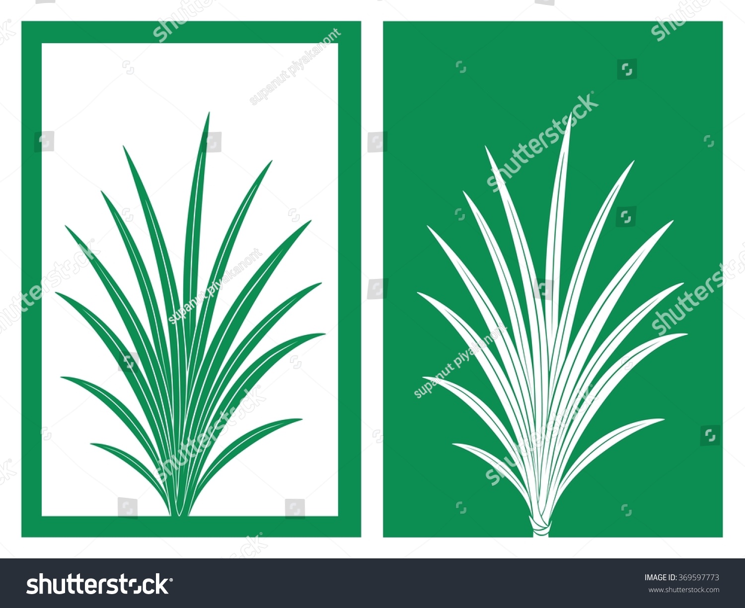 Isolated Pandanvector Illustration Stock Vector (Royalty Free) 369597773