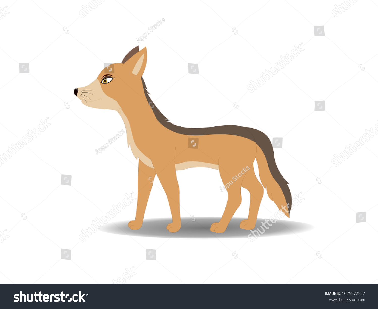 Jackal Standing Vector Image Cartoon Stock Vector (Royalty Free) 1025972557
