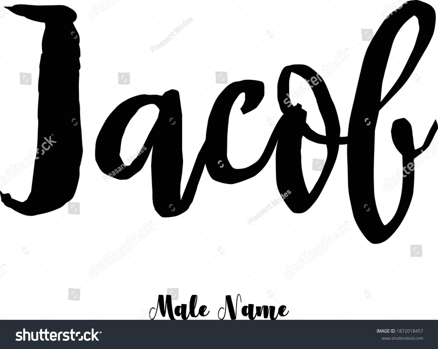 Jacob-Männchen Name Fett Cursive Kalligraphie Schrift: Stock ...