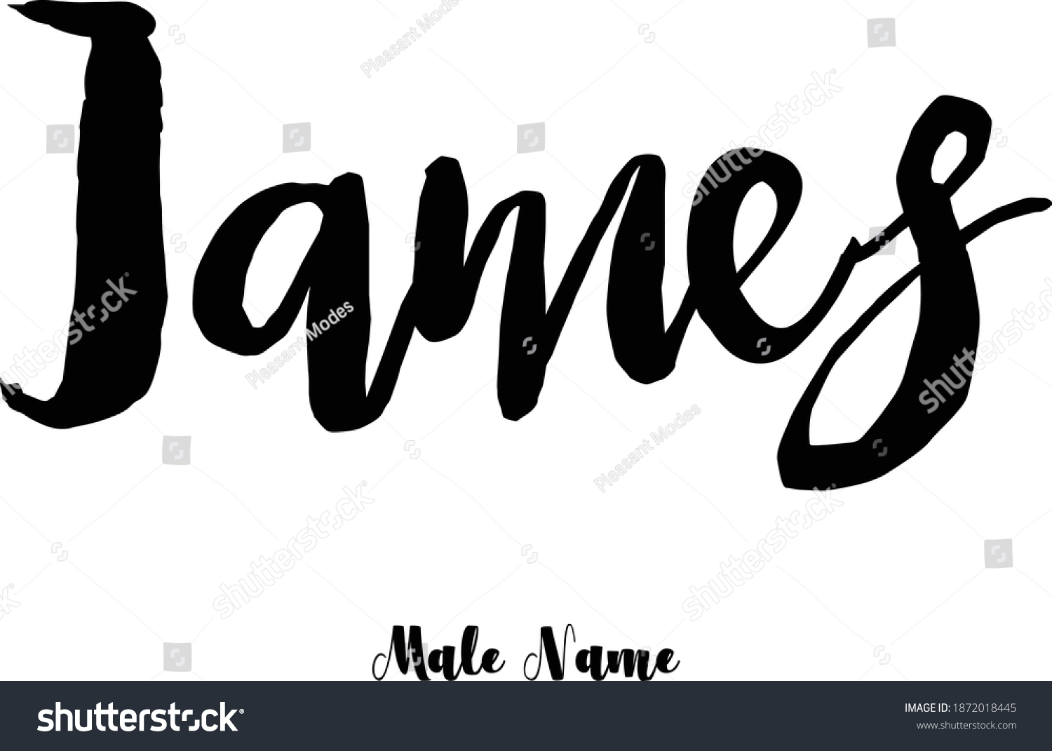 Nombre de James-Male negrita Caligrafía Cursiva: vector de stock (libre ...