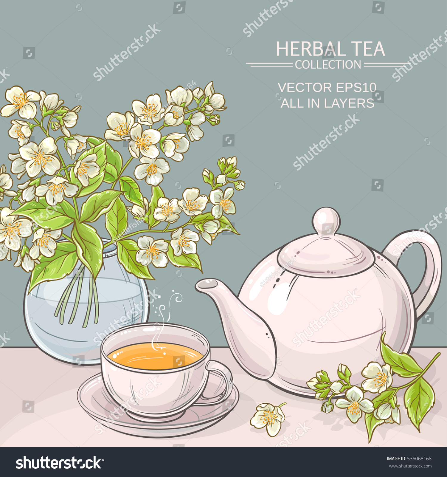 Jasmine Tea Vector Illustration Stock Vector (Royalty Free) 536068168