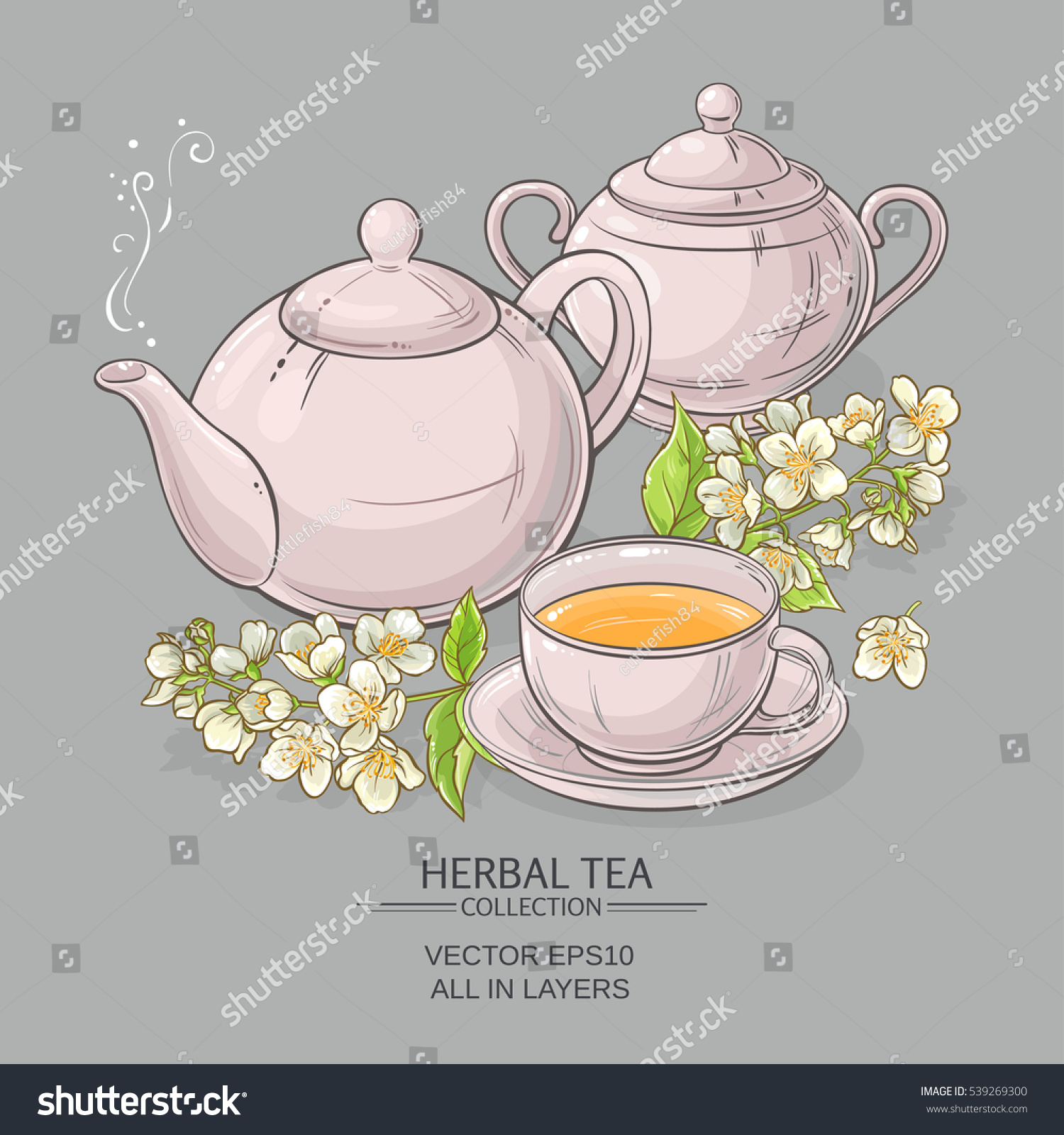 Jasmine Tea Vector Illustration Stock Vector (Royalty Free) 539269300 ...