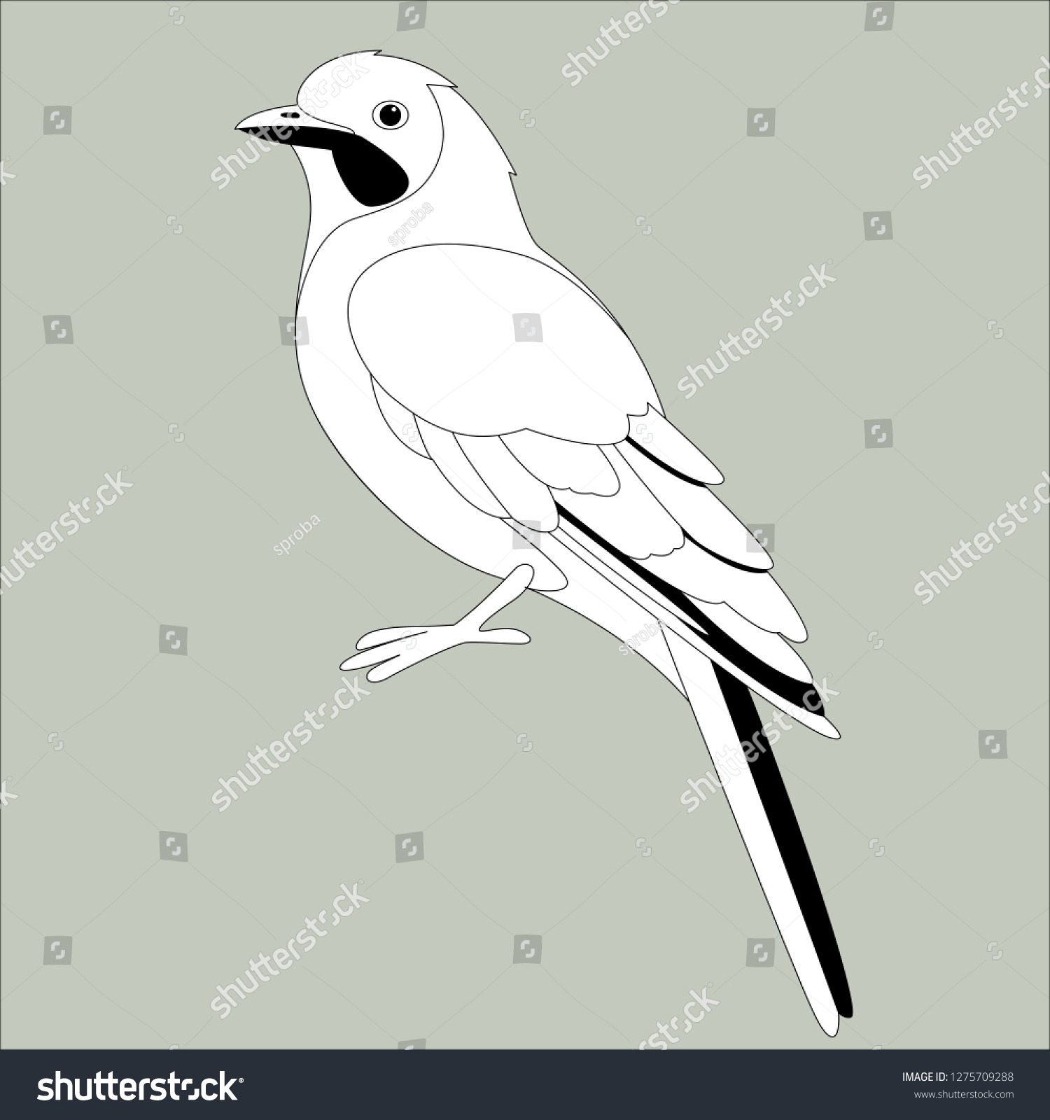 Jay Bird Vector Illustration Lining Draw Stock Vector (Royalty Free ...