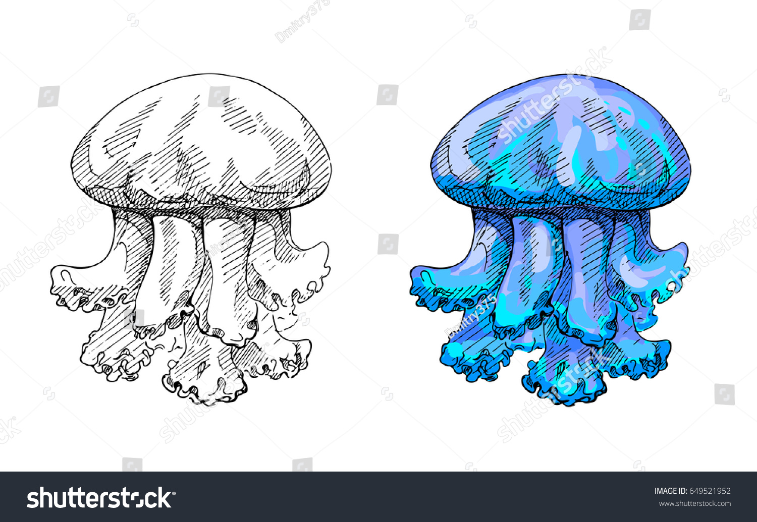 Jellyfish Hand Made Ink Drawing Vector Stock Vector (Royalty Free ...