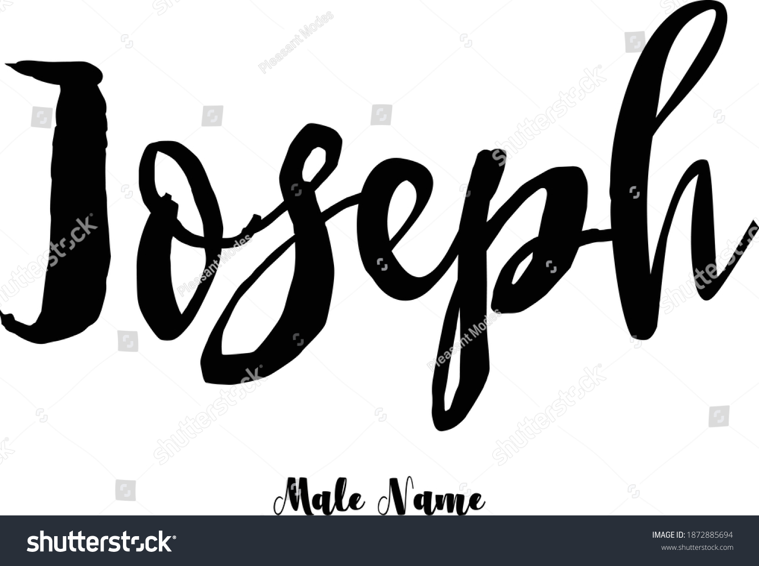 Nombre Joseph-Malé negrita Caligrafía cursiva Tipo: vector de stock ...