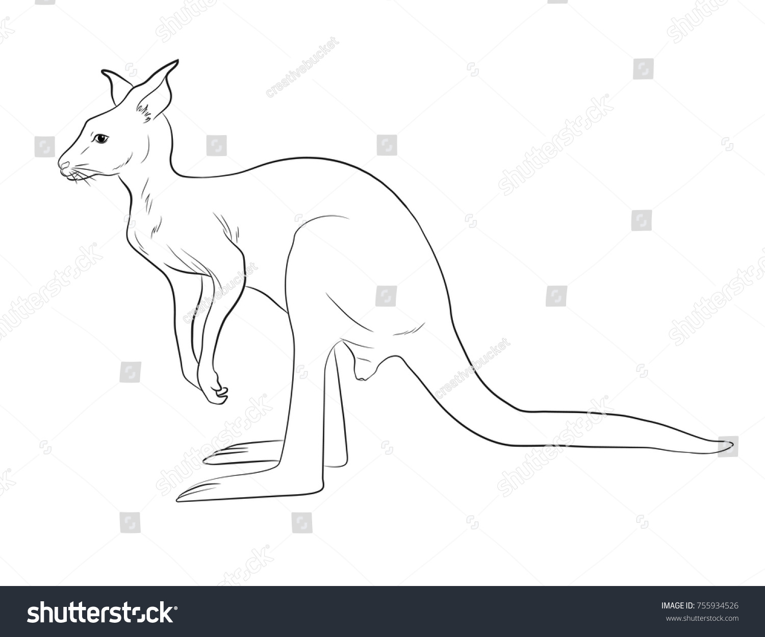 Kangaroo Sketch Vector Illustration Stock Vector (Royalty Free) 755934526