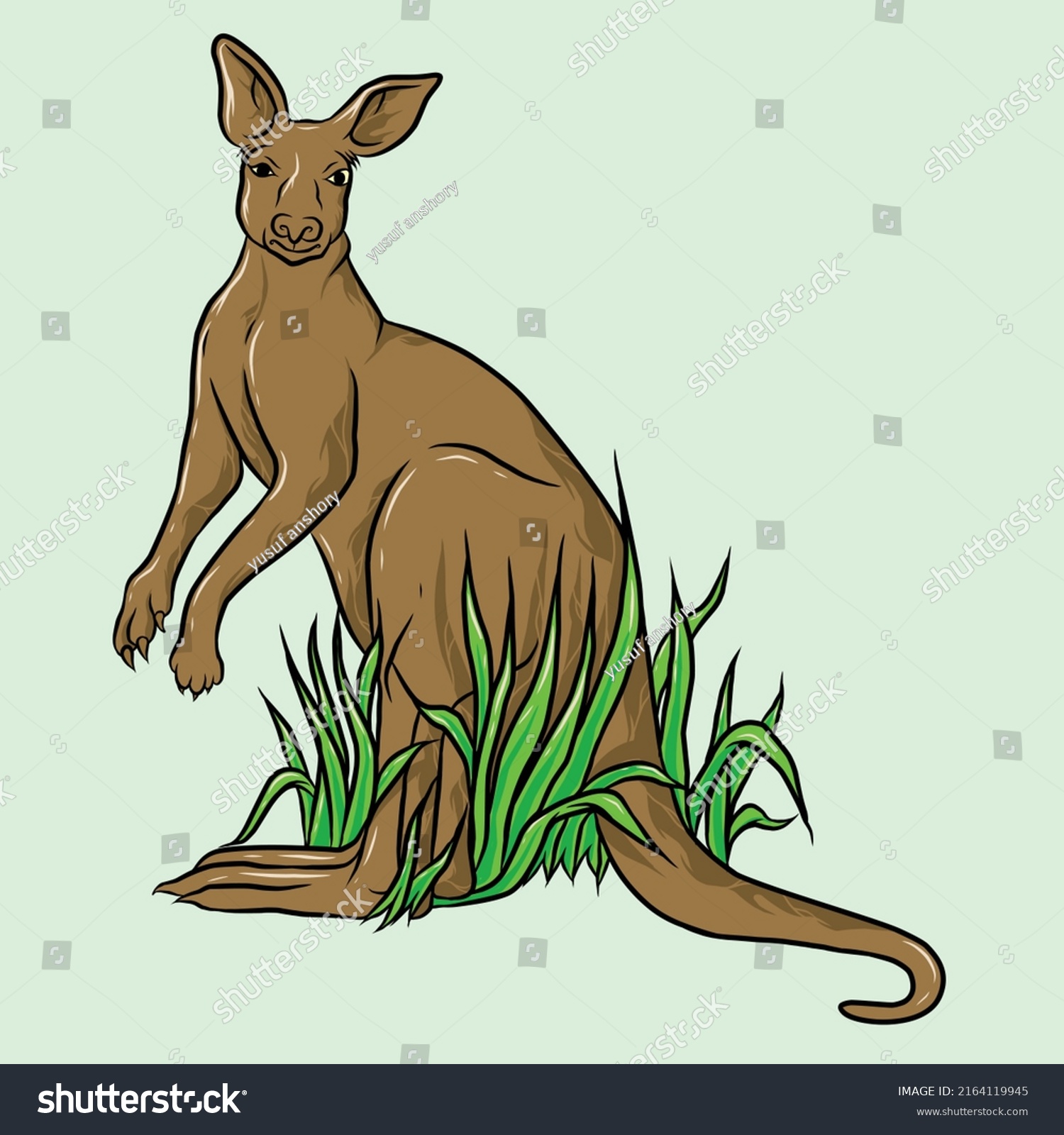 Kangaroo Standing Looking Vector Illustration On Stock Vector (Royalty ...
