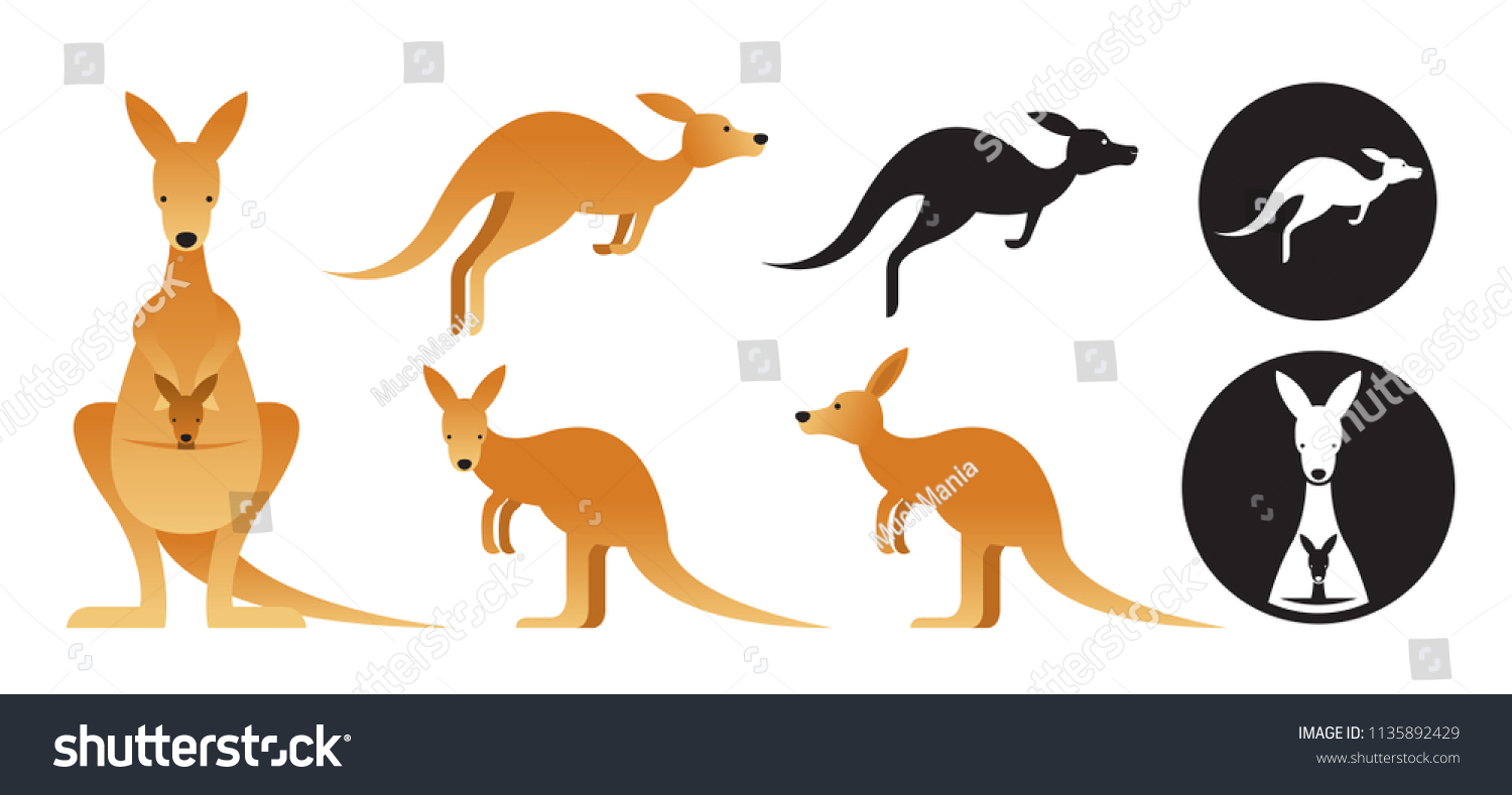 Kangaroo Vector Set Front View Side Stock Vector (Royalty Free) 1135892429