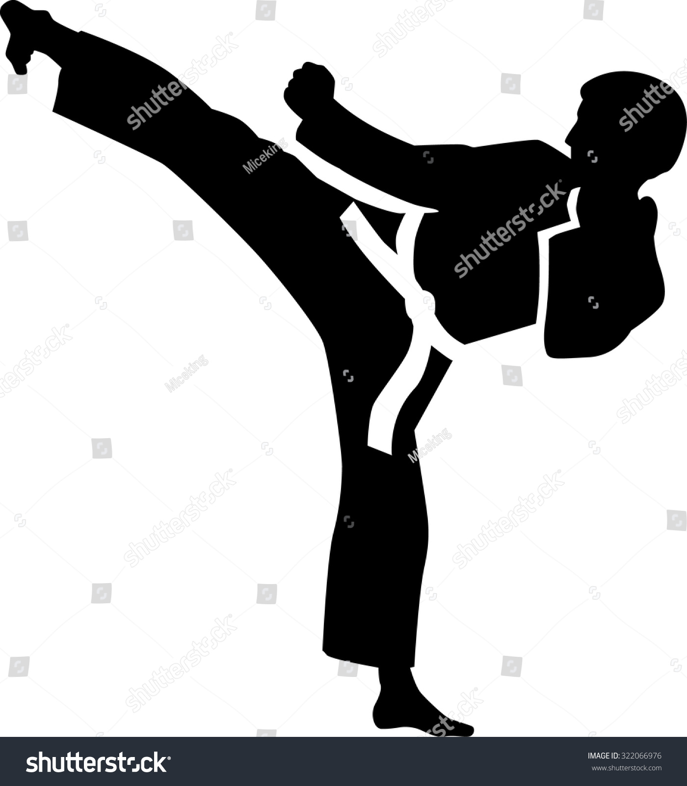 9,240 Karate kick silhouette Images, Stock Photos & Vectors | Shutterstock