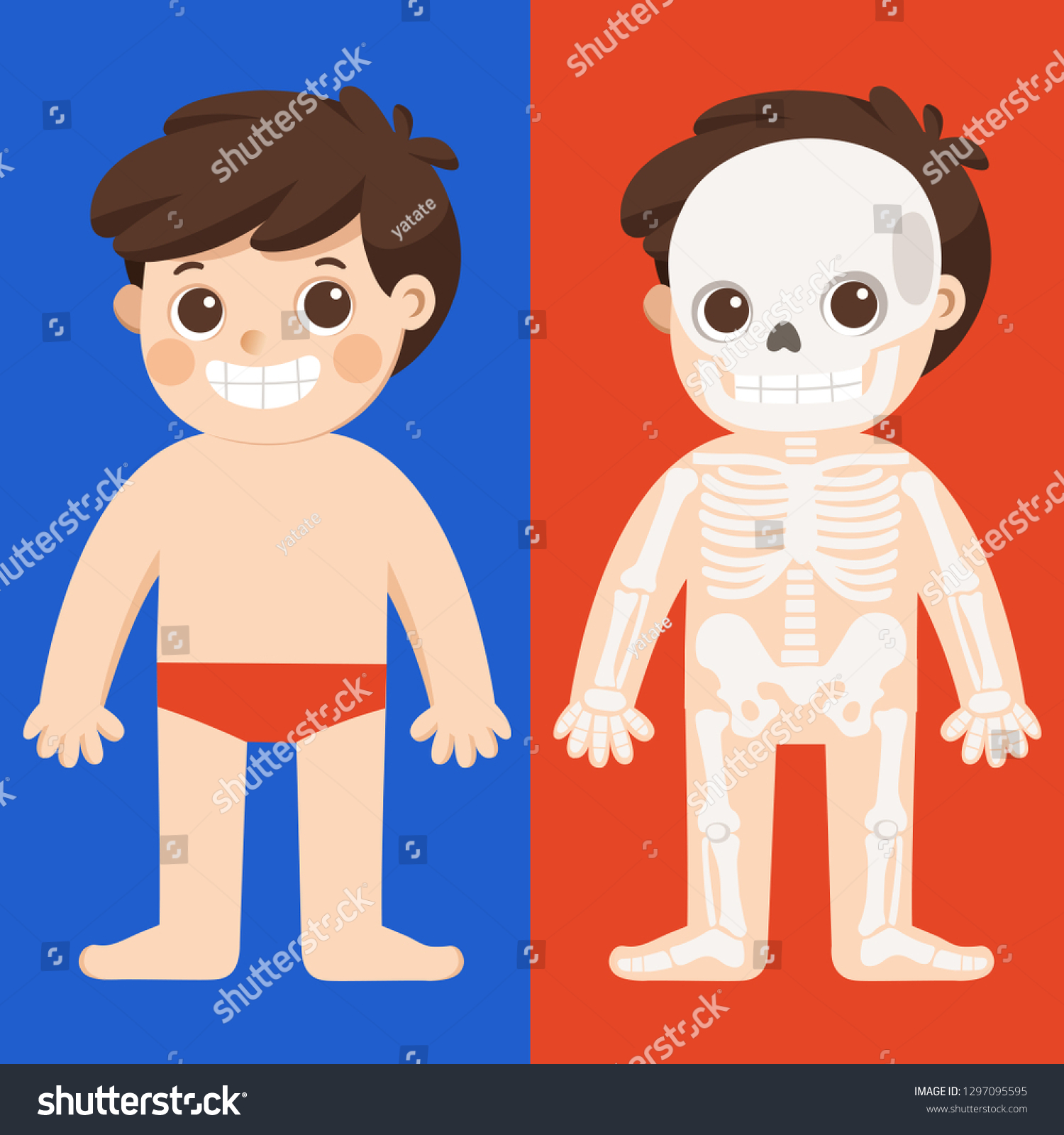 Kid Body Anatomy Vector Human Skeleton: Vector có sẵn (miễn phí bản ...