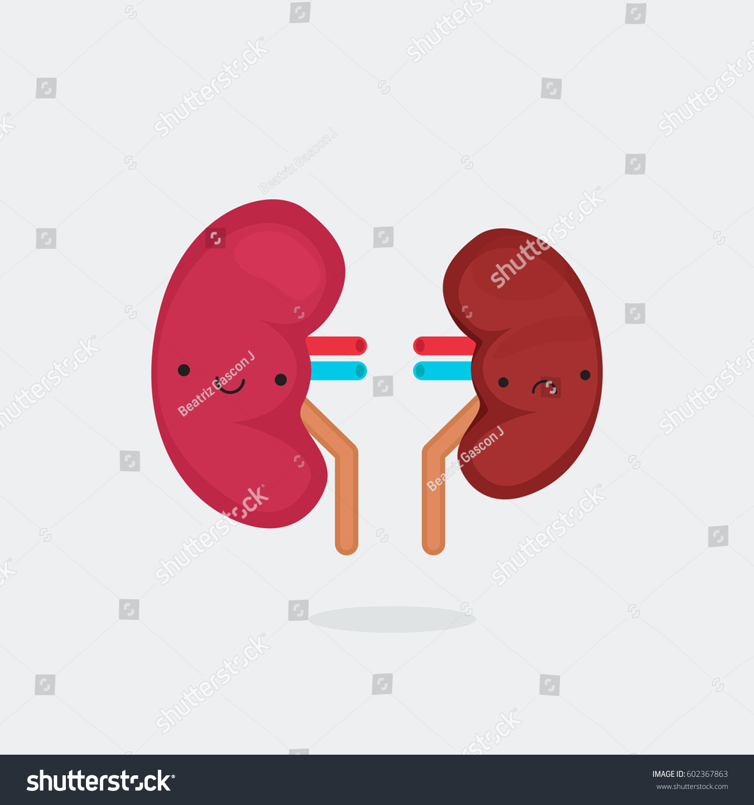 Kidney Characters Vector Illustration Stock Vector (Royalty Free ...