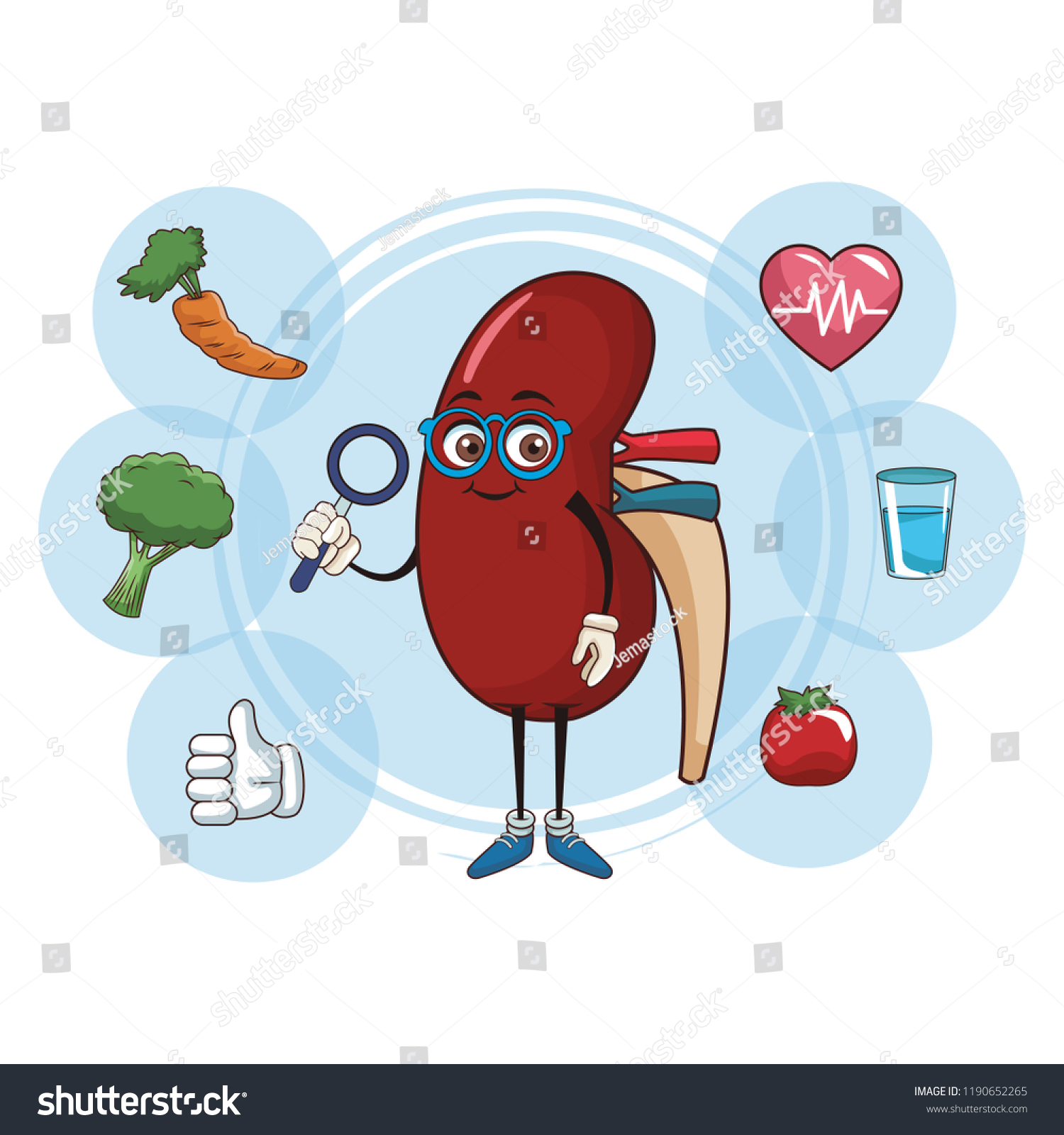 Kidney Funny Cartoon Stock Vector (Royalty Free) 1190652265 | Shutterstock