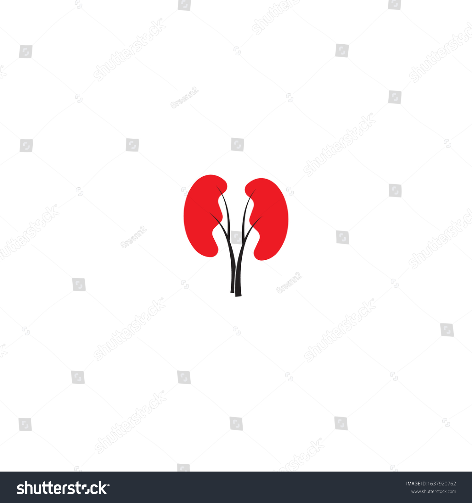 Kidney Vector Illusrtation Design Logo Template: เวกเตอร์สต็อก (ปลอดค่า ...