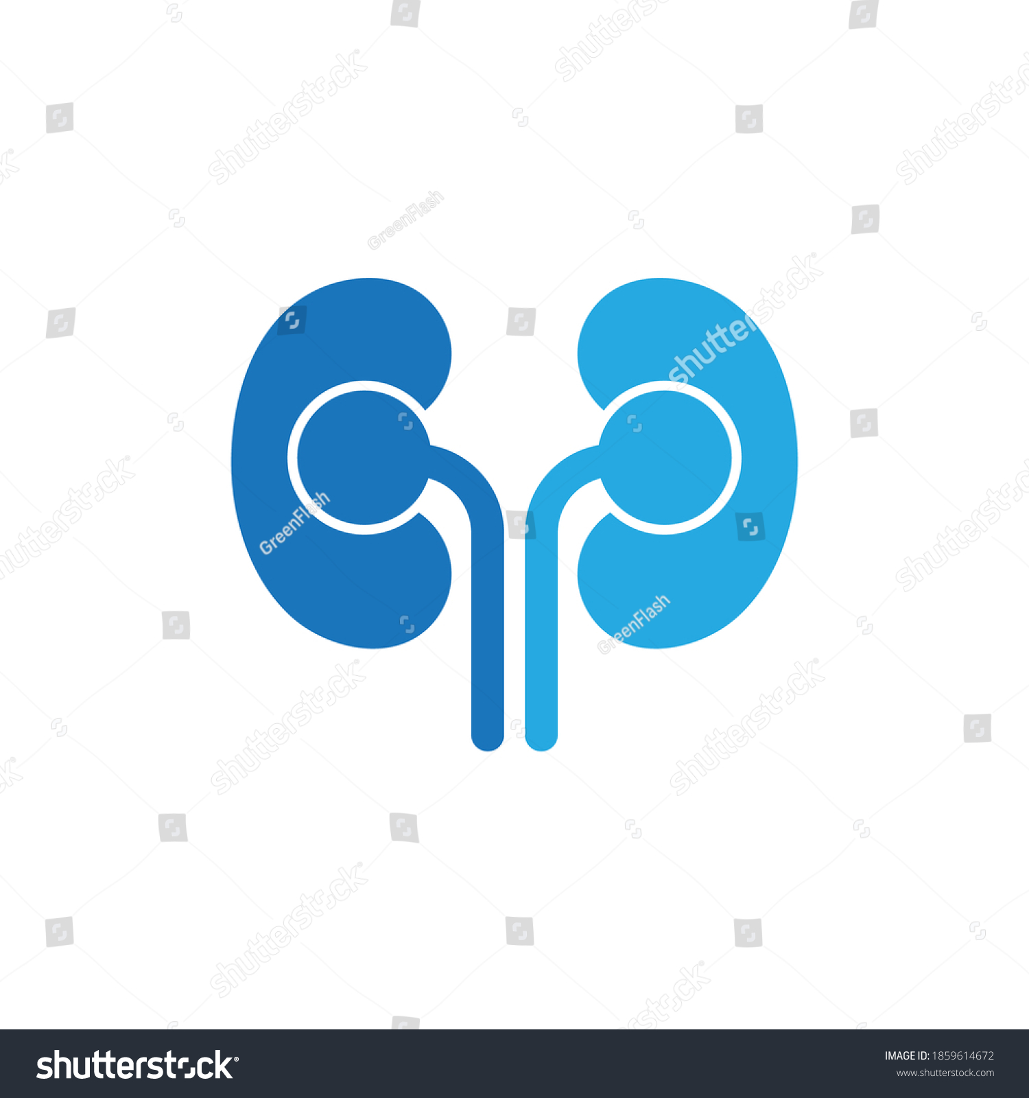 Kidney Vector Illusrtation Design Logo Template: เวกเตอร์สต็อก (ปลอดค่า ...