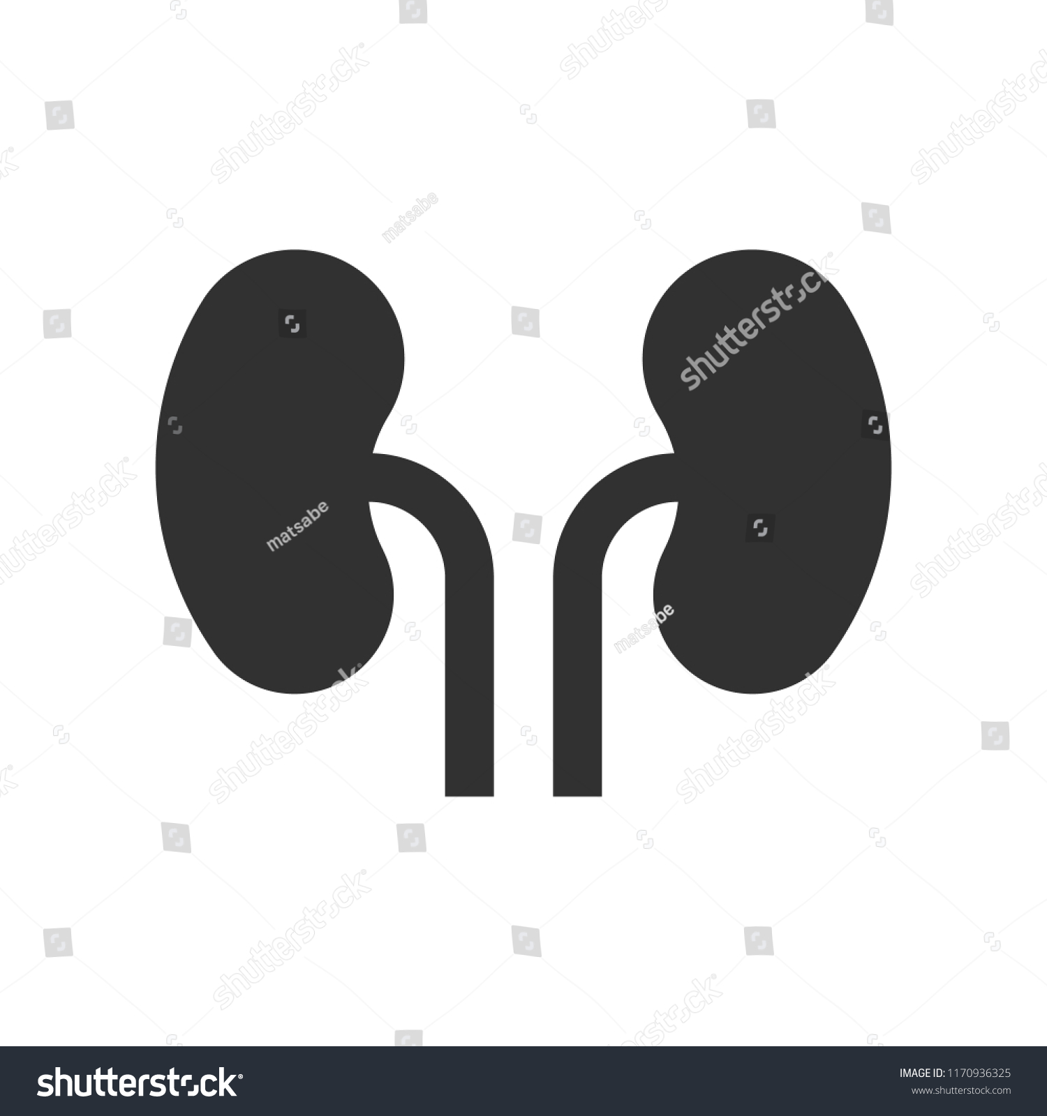 32,573 Kidney symbol Images, Stock Photos & Vectors | Shutterstock