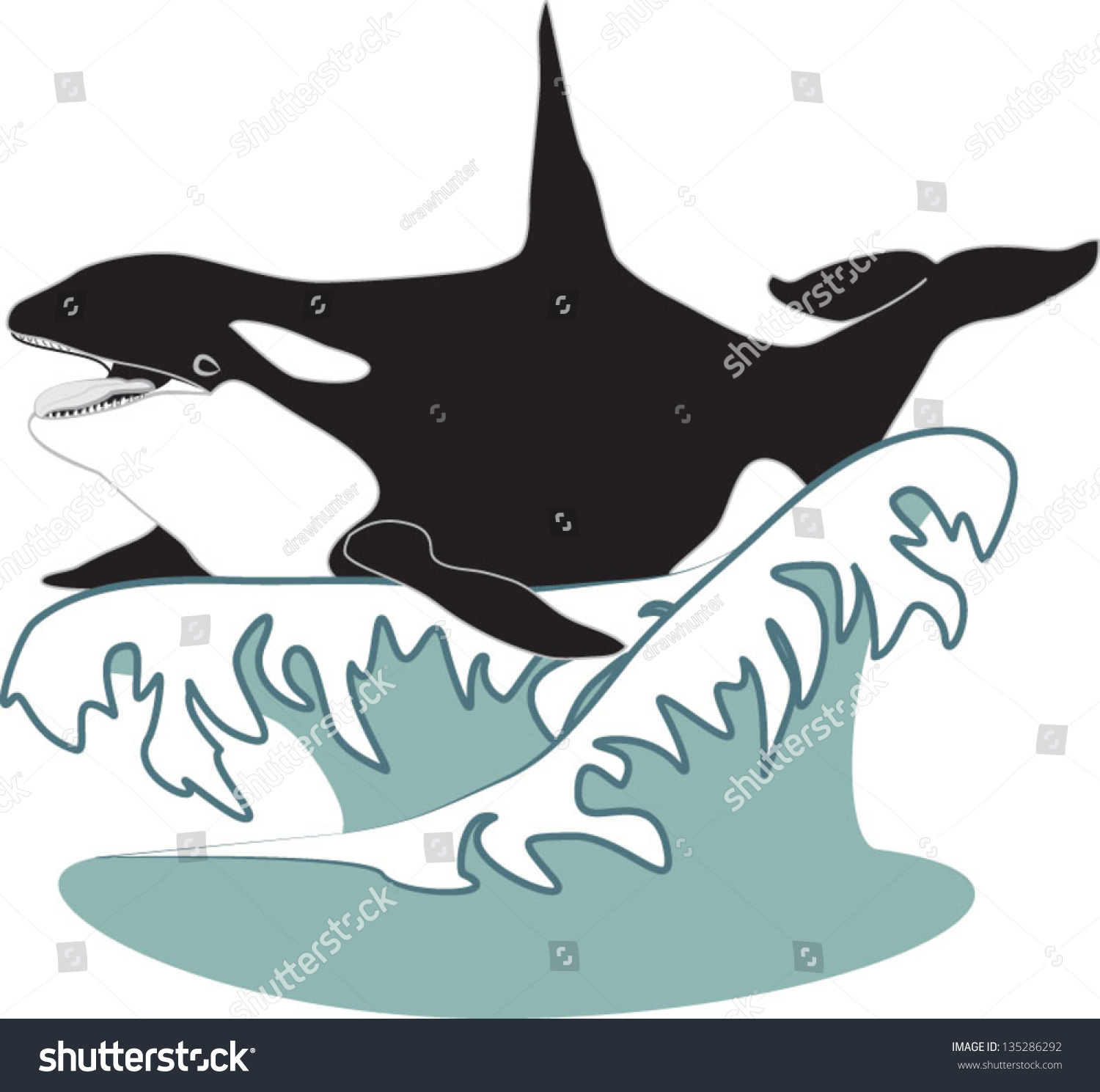 Killer Whale Vector Illustration Stock Vector (Royalty Free) 135286292 ...