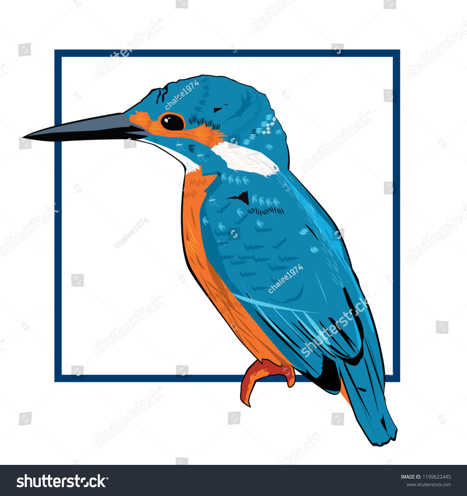King Fisher Vector Stock Vector (Royalty Free) 1199622445 | Shutterstock